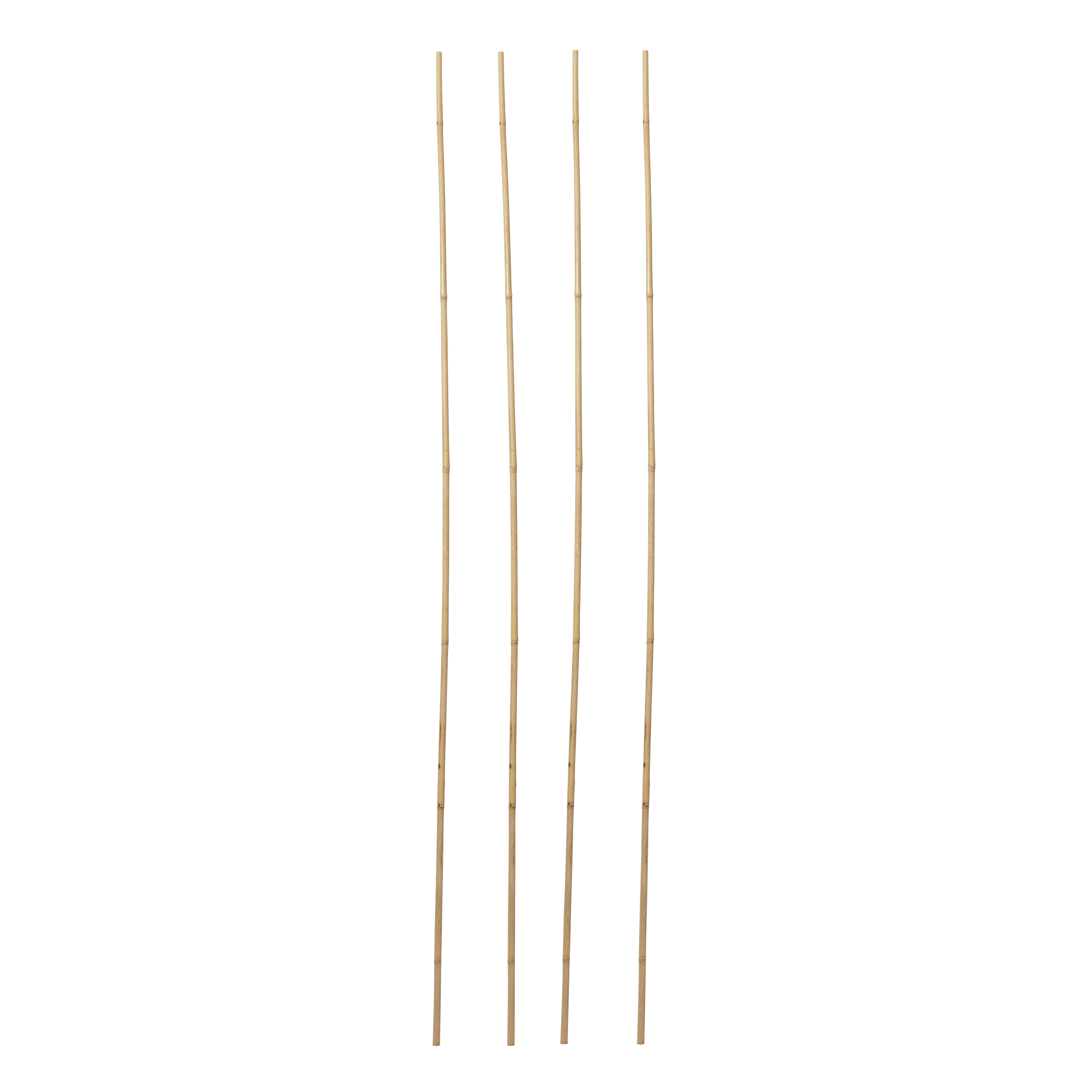 Verve Bamboo Cane, Pack of 10 240cm
