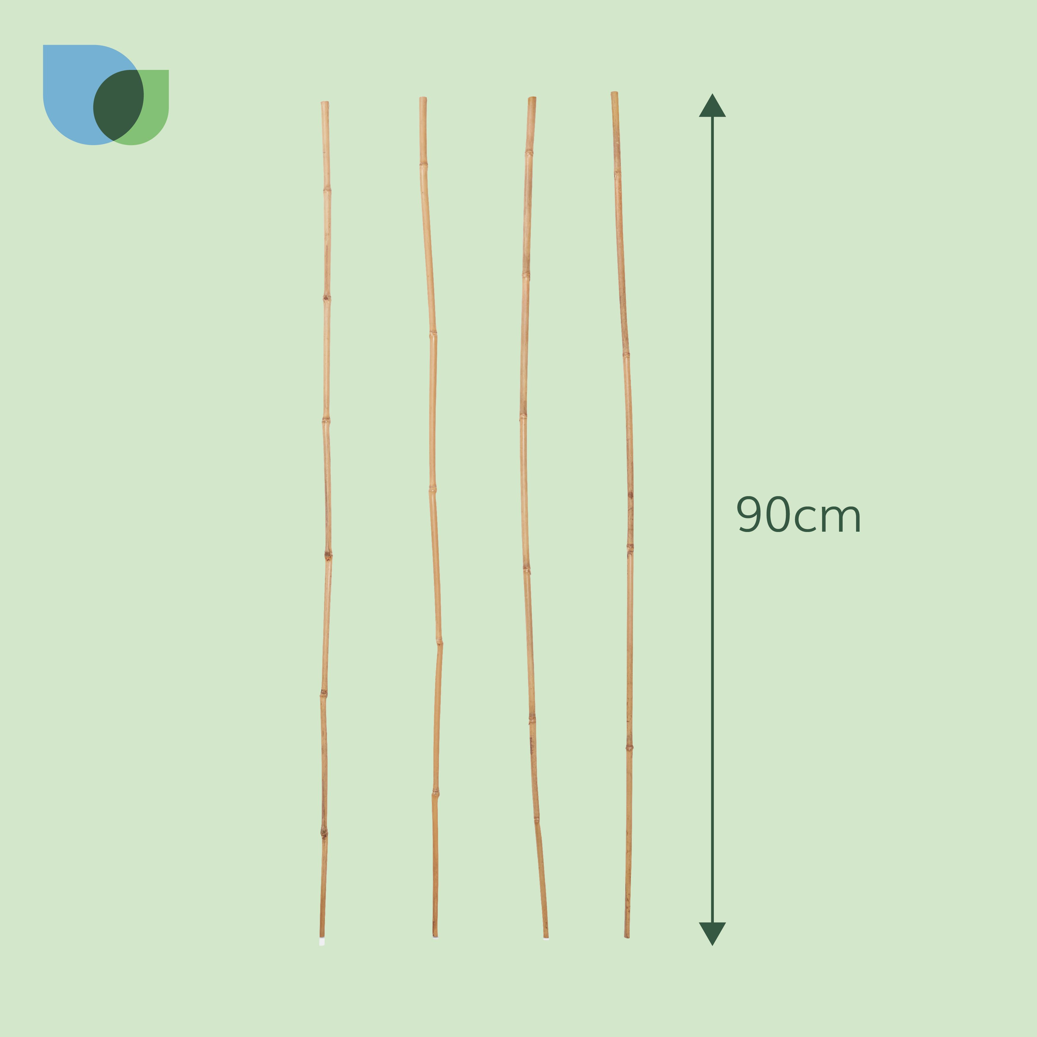 VERVE BAMBOO CANE, PACK OF 15 90CM