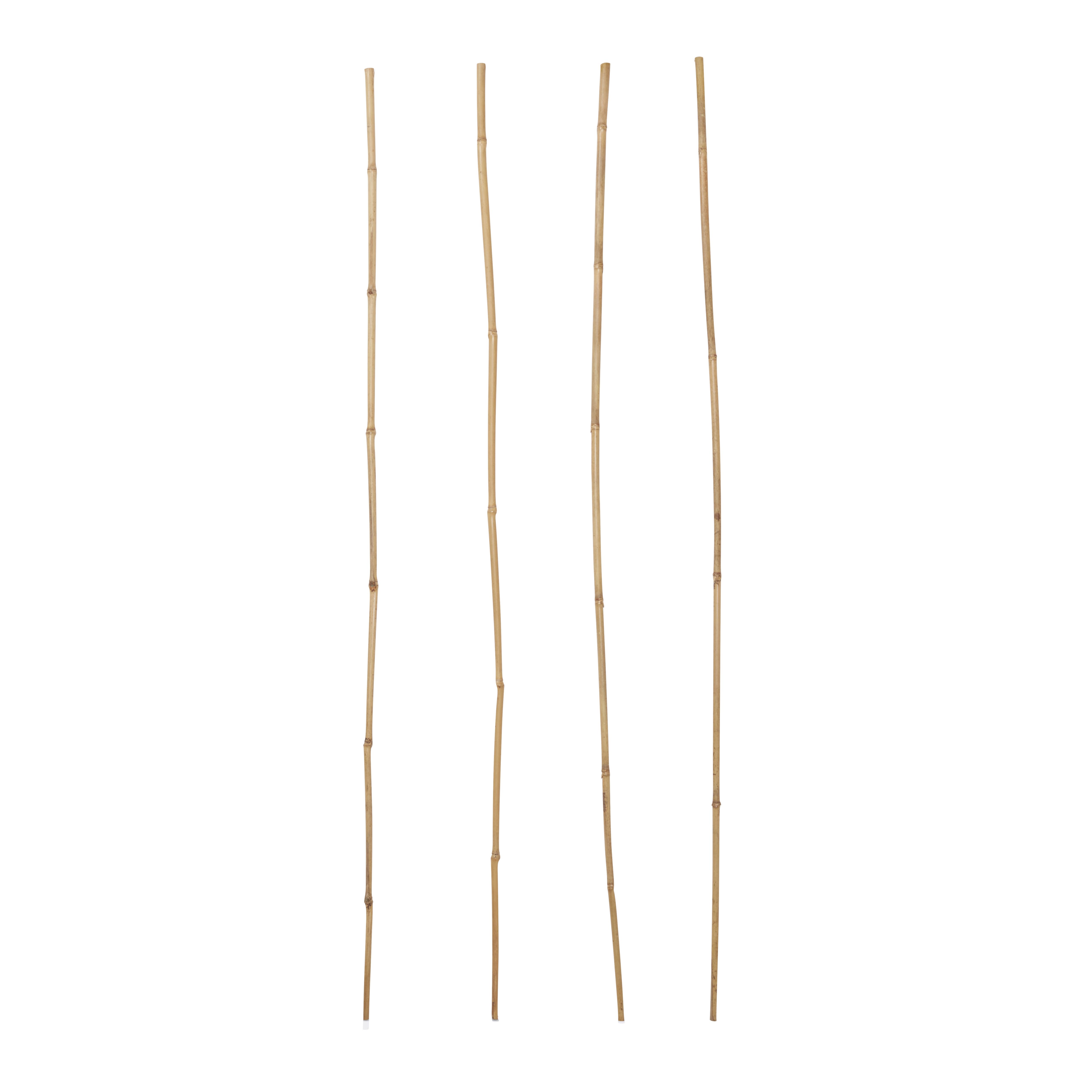 Verve Bamboo Cane, Pack of 15 90cm