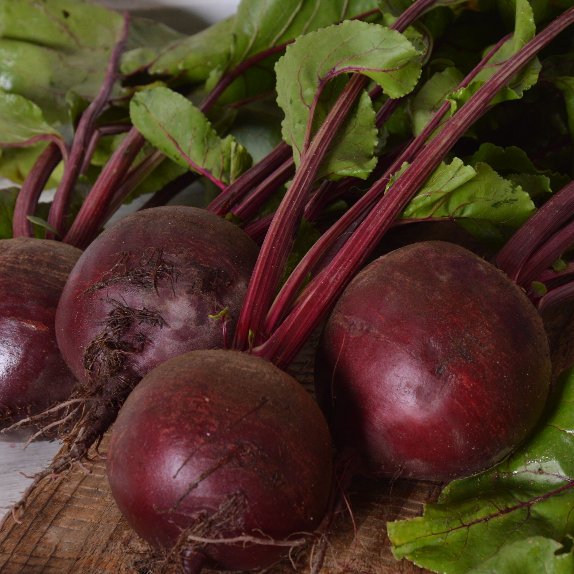 Verve Beetroot 'Bolthardy' Vegetable Seeds