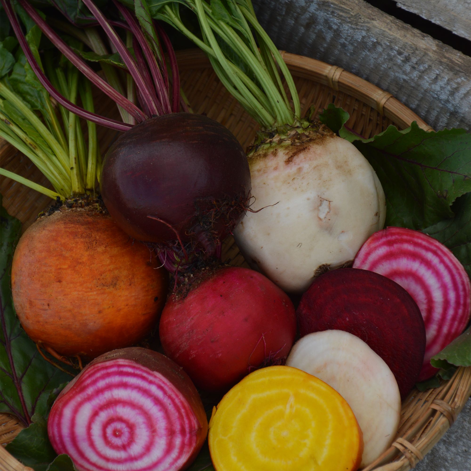 Verve Beetroot 'Rainbow mix' Vegetable Seeds