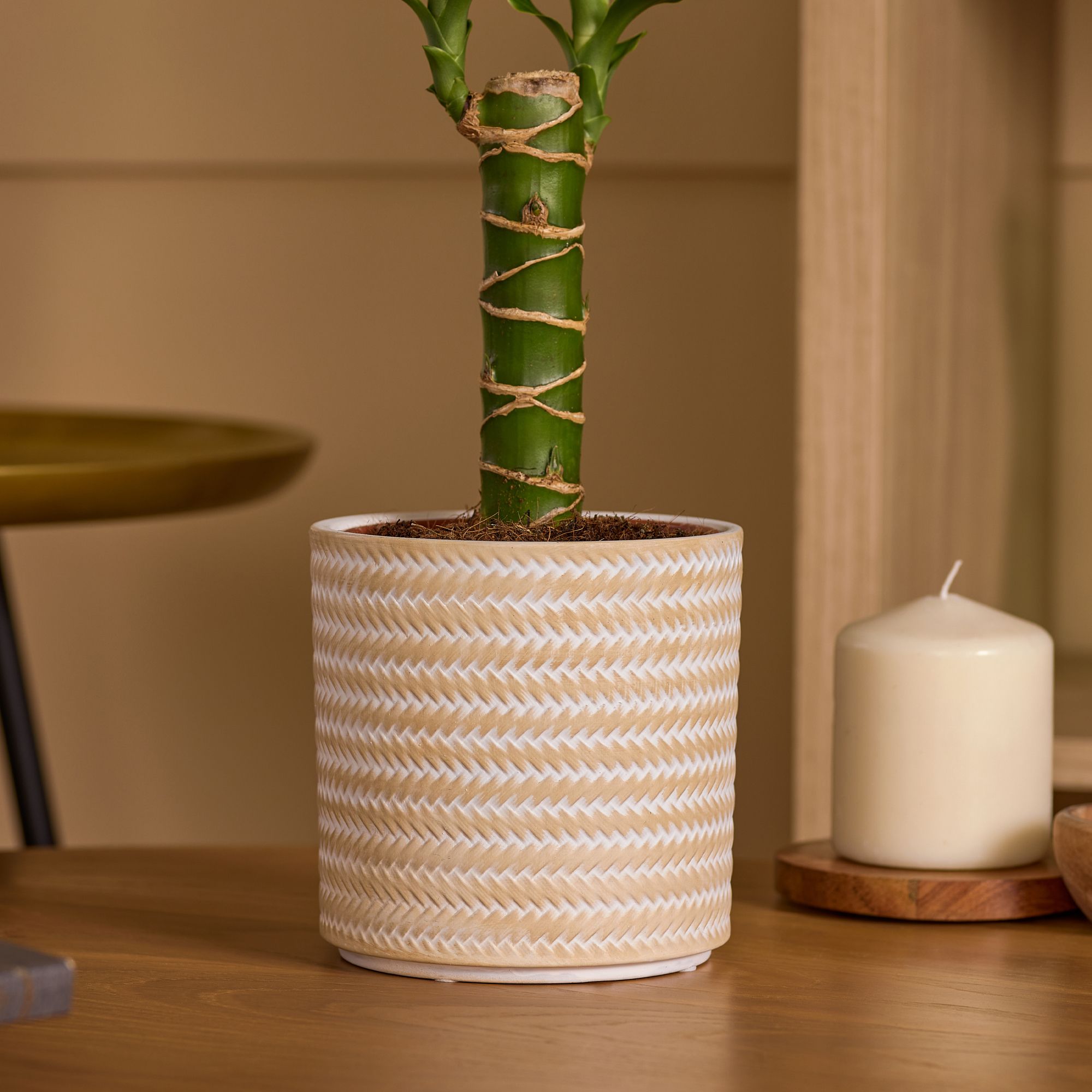 Verve Beige Rattan effect Terracotta Plant pot (Dia) 14.5cm, (H)14cm