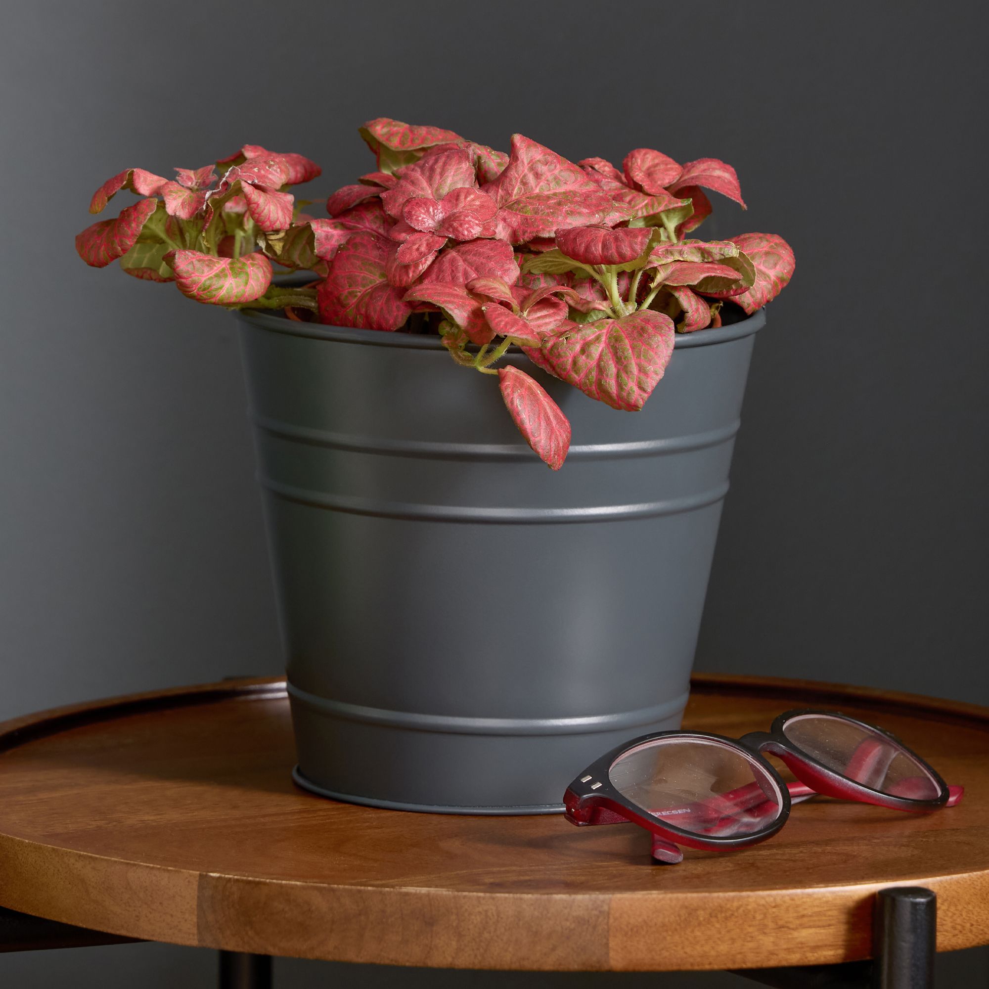 Verve Black Metal Plant pot (Dia) 14.5cm, (H)13cm