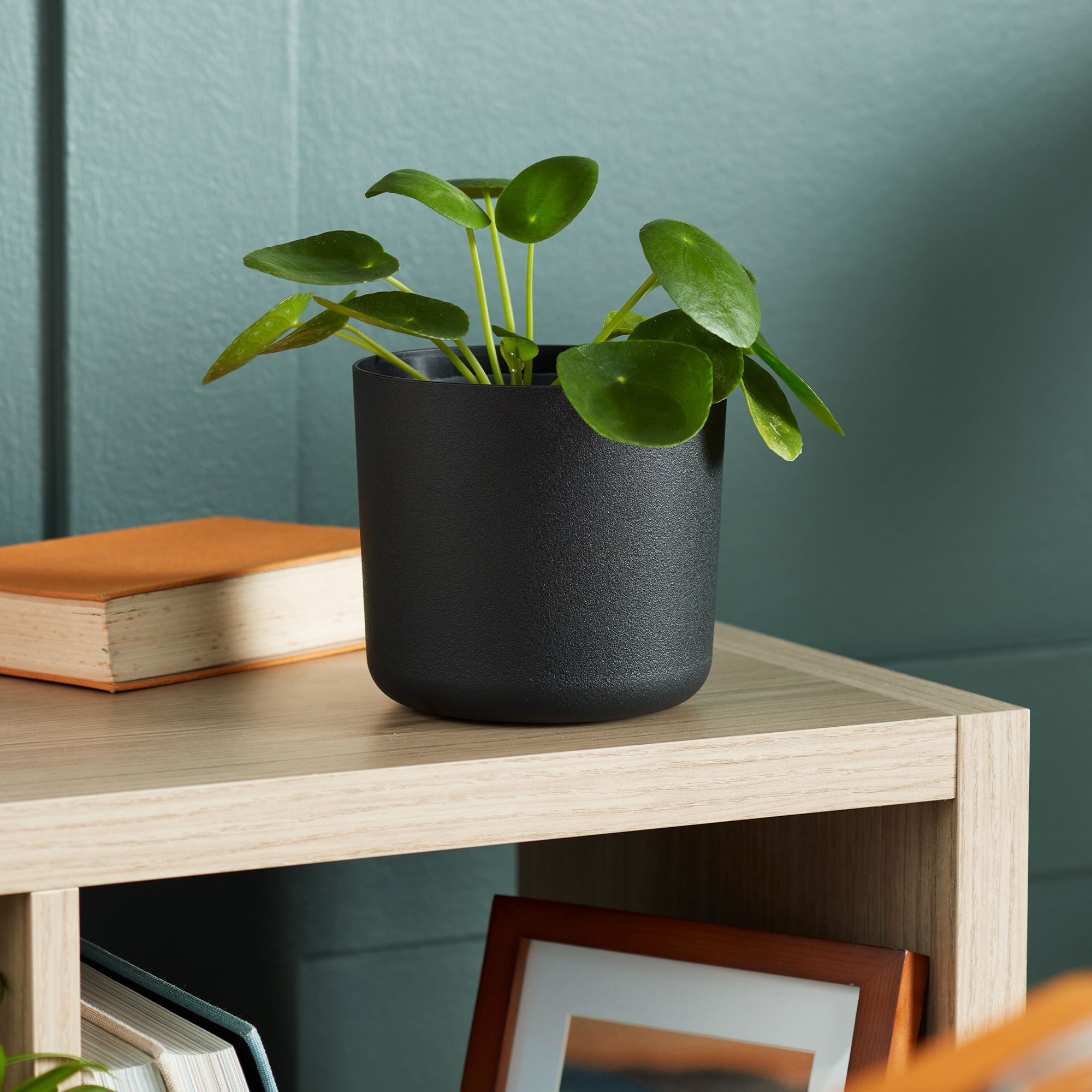 Verve Black Recycled plastic Plant pot (Dia) 13cm, (H)12cm