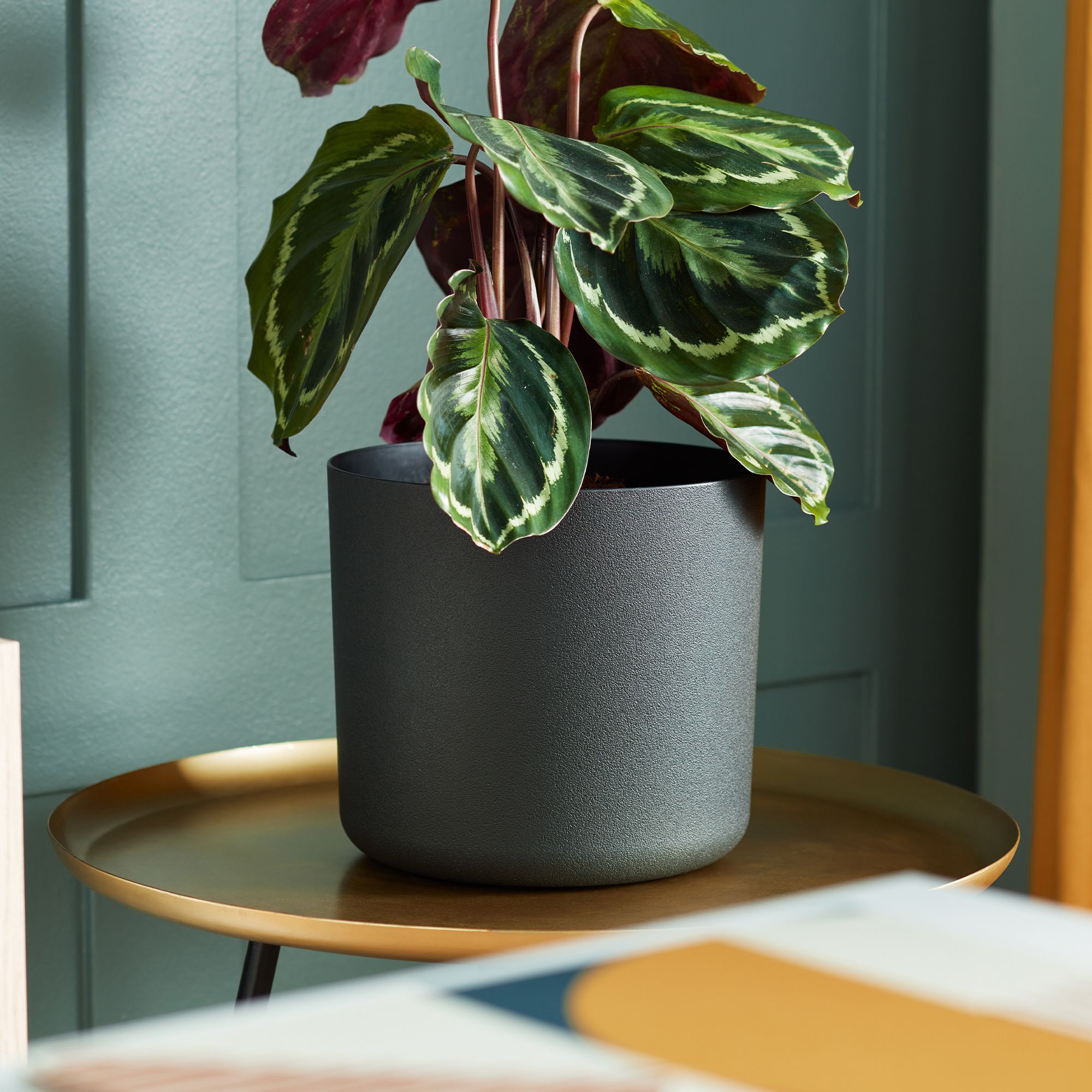 Verve Black Recycled plastic Plant pot (Dia) 22cm, (H)20cm