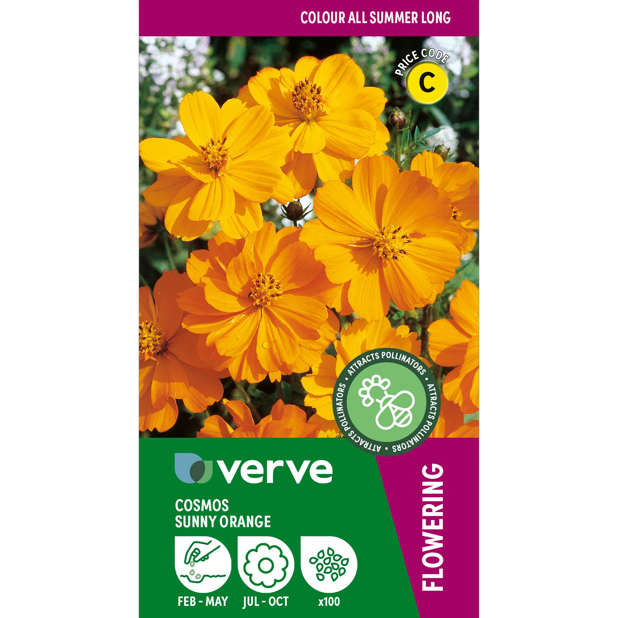 Verve Bright Star Orange Cosmos Seeds