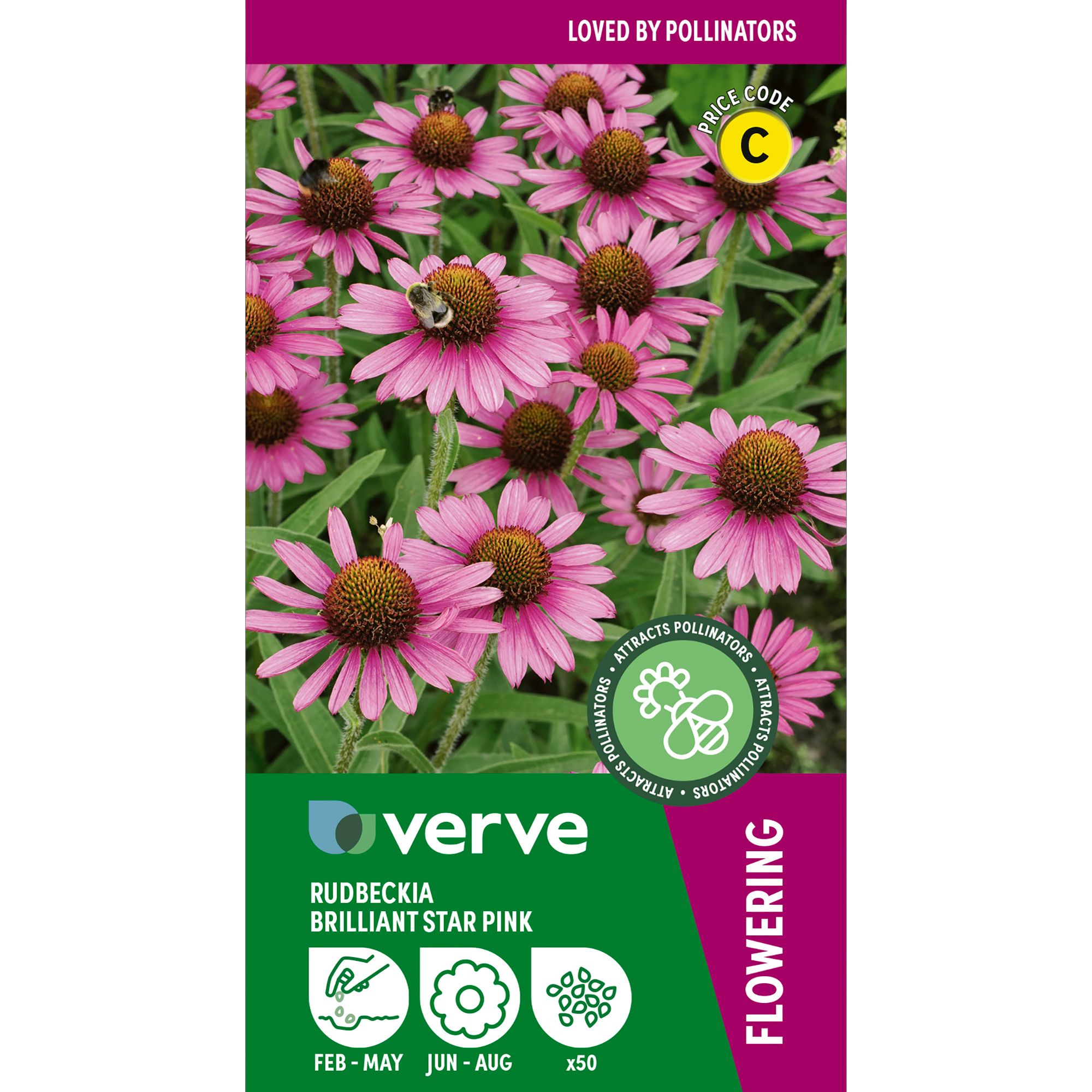 Buy Verve Brilliant Star Pink Rudbeckia Seeds at B&Q
