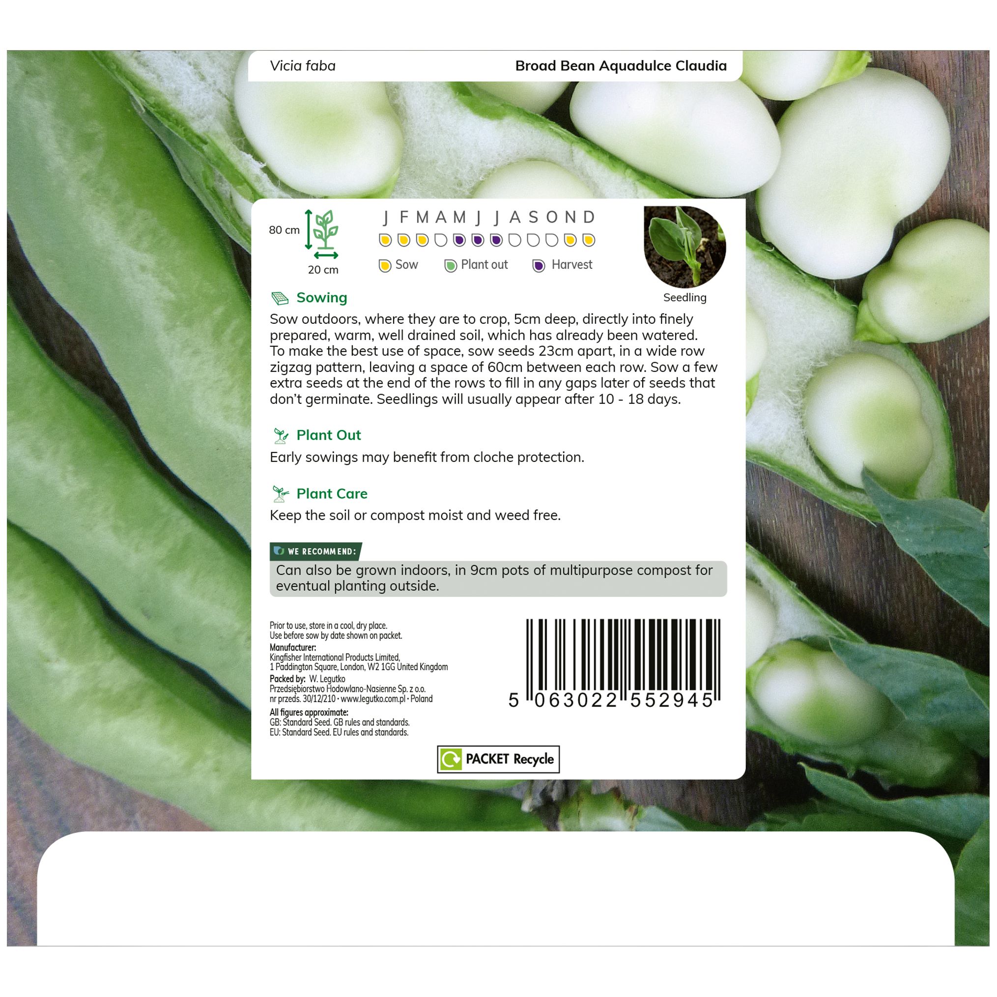 Verve Broad bean 'Aqua Dulce Claudia' Vegetable Seeds