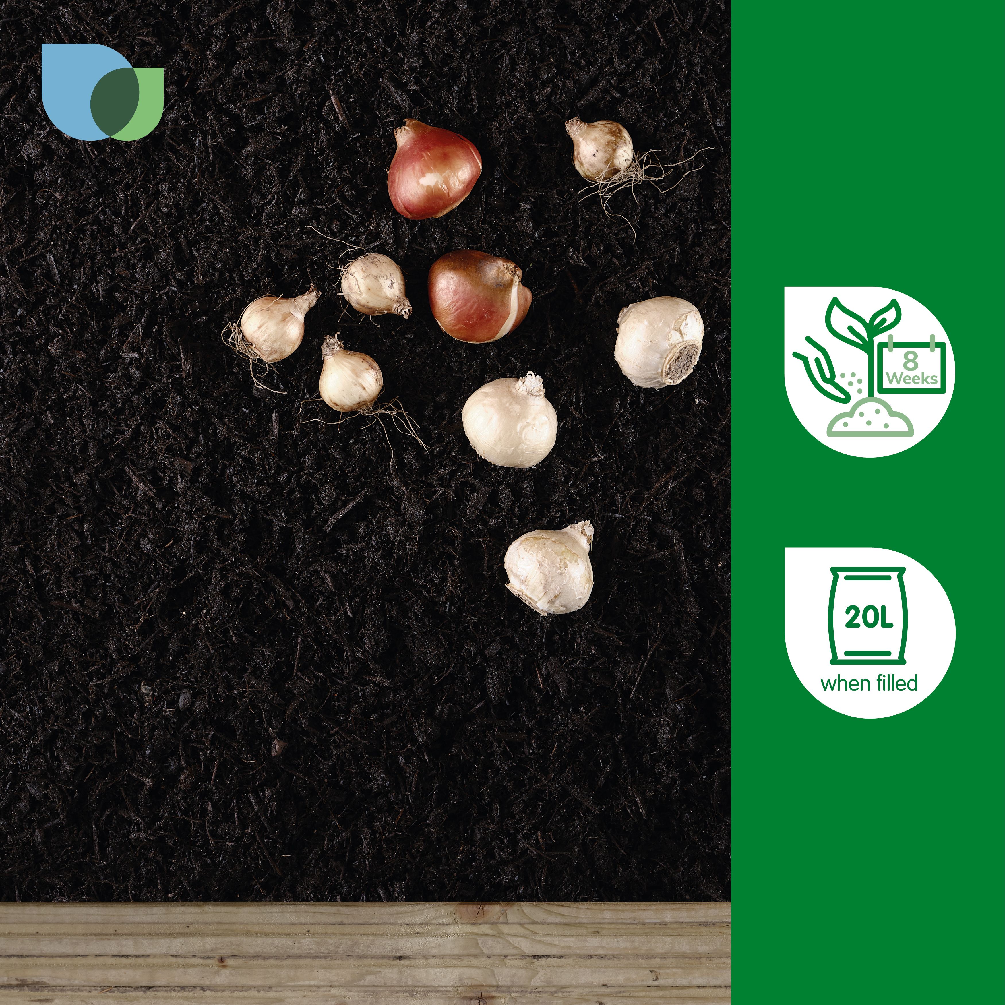 Verve Bulb planting Peat-free Compost 20L