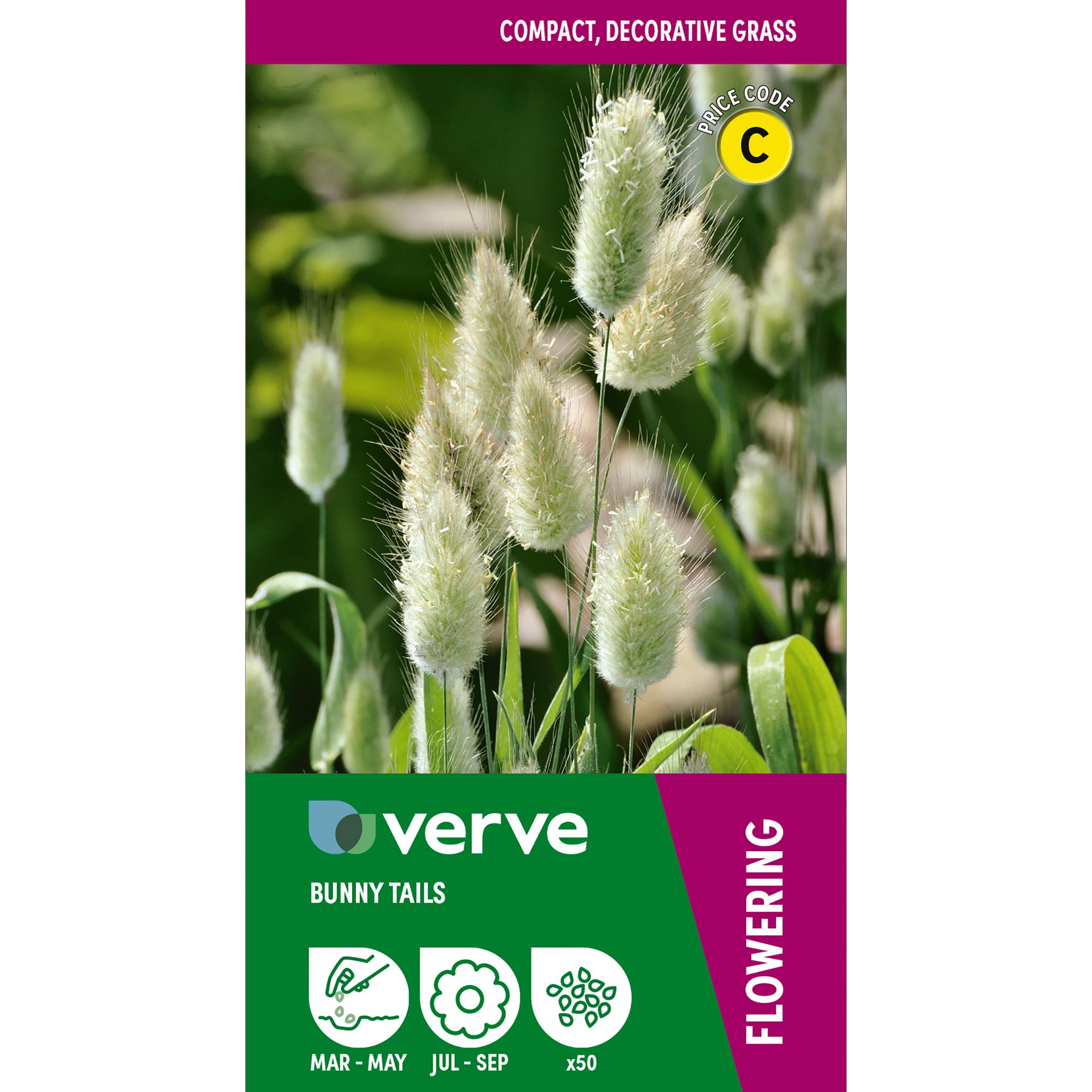 Verve Bunny Tails Flower Seeds
