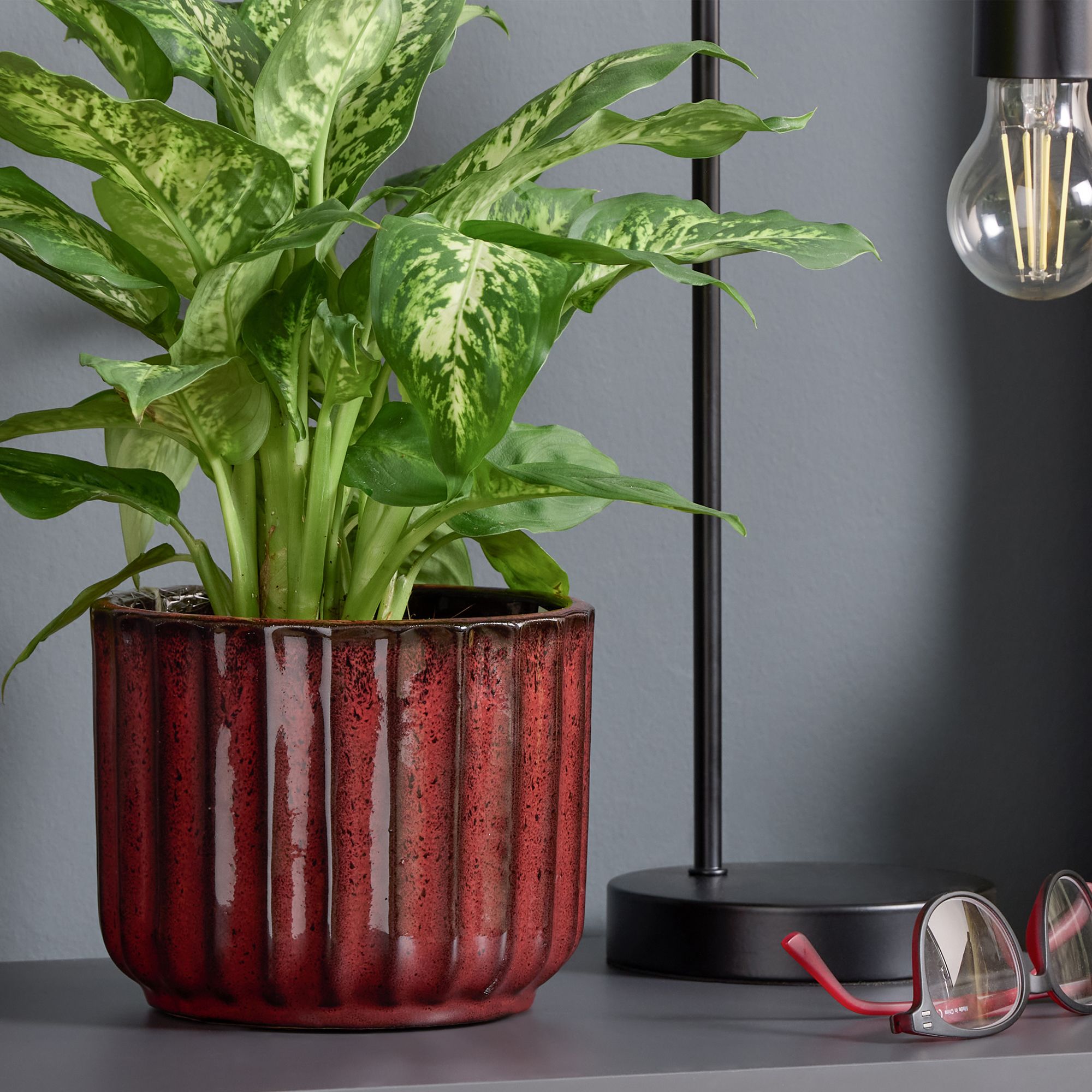 Verve Burnt russet Red Wide ribbed Ceramic Plant pot (Dia) 16cm, (H)13cm