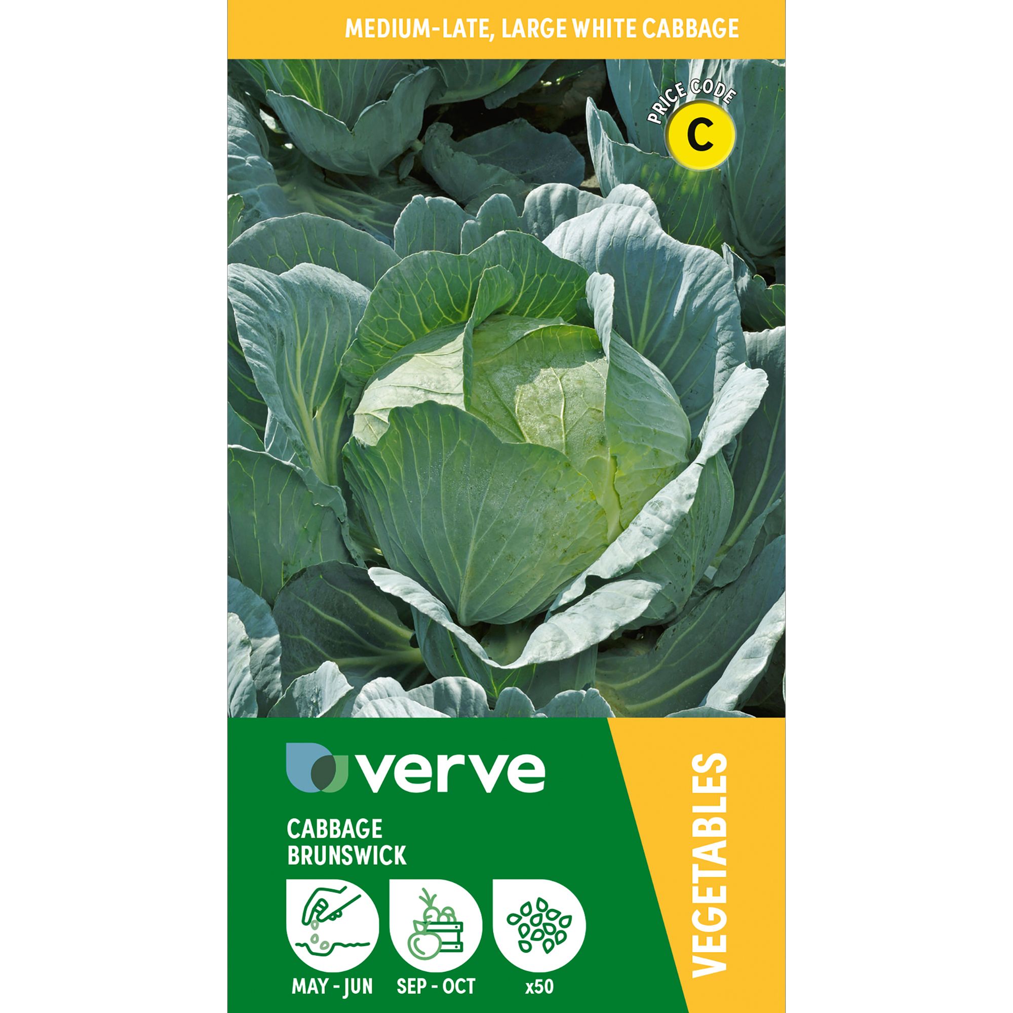 Verve Cabbage 'Brunswick' Vegetable Seeds