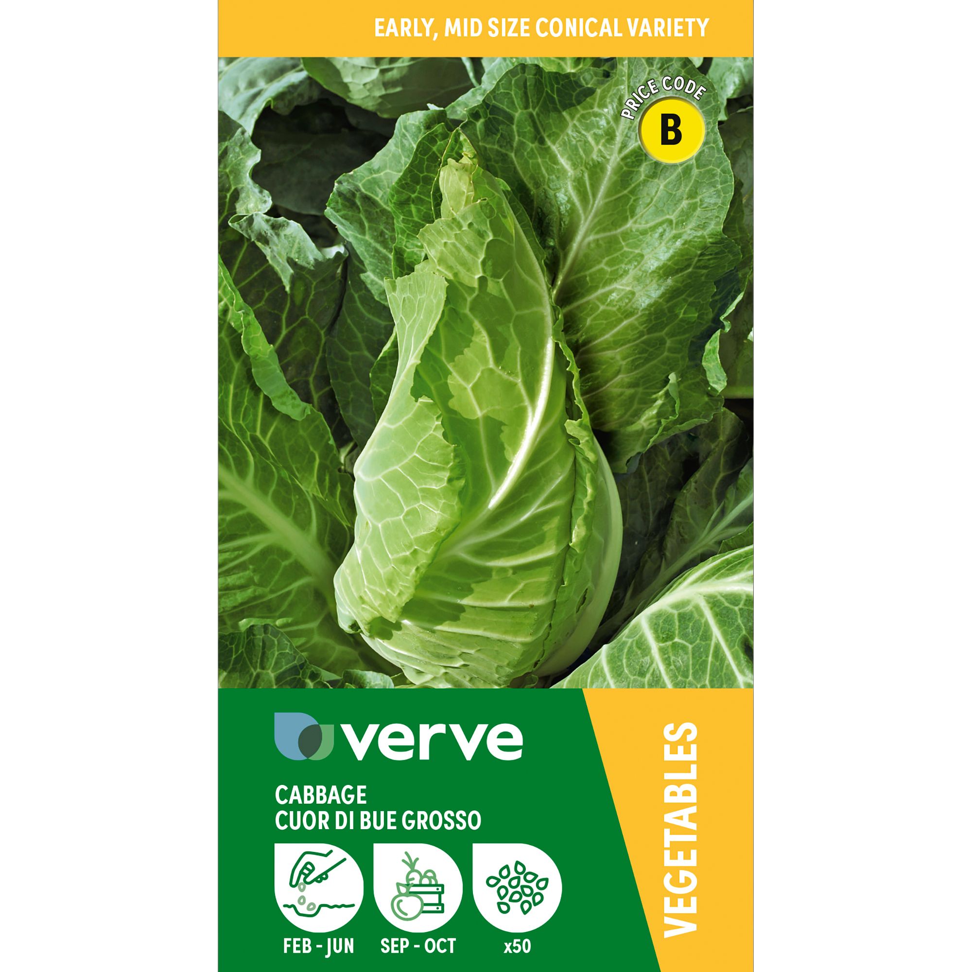 Verve Cabbage 'Cuor di bue grosso' Vegetable Seeds