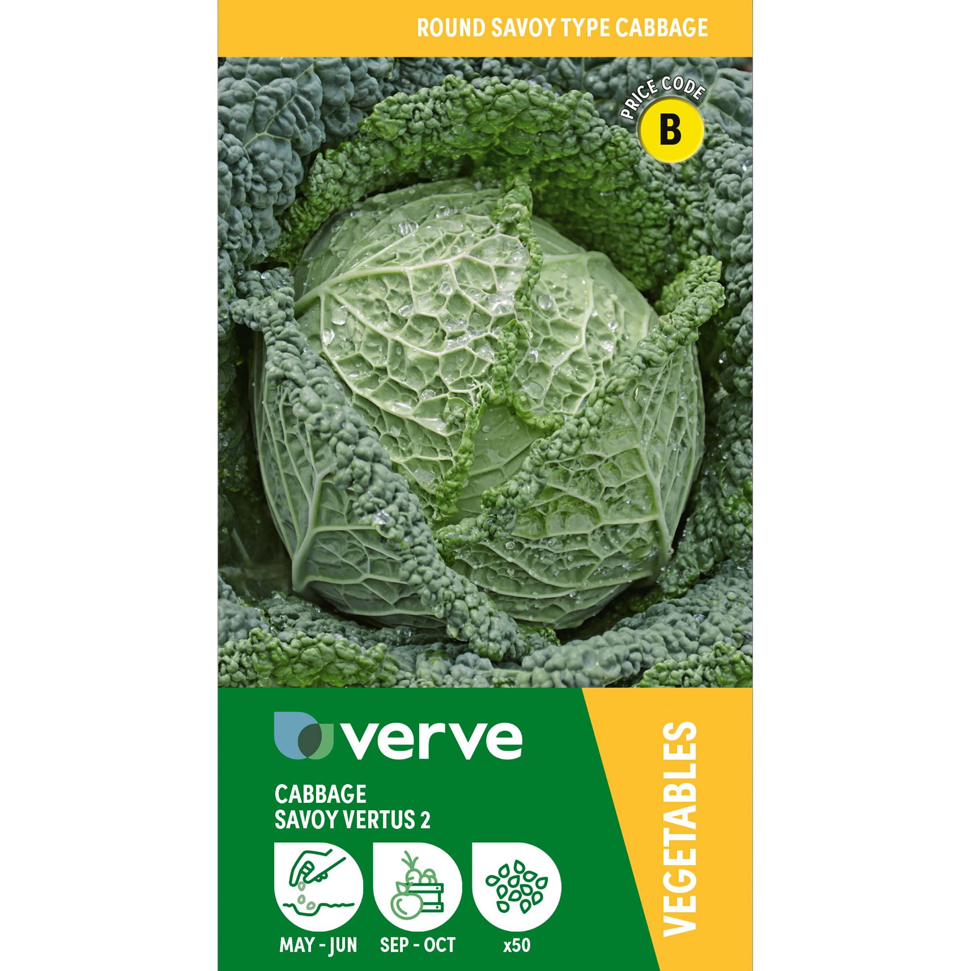 Verve Cabbage 'Savoy Vertus 2' Vegetable Seeds