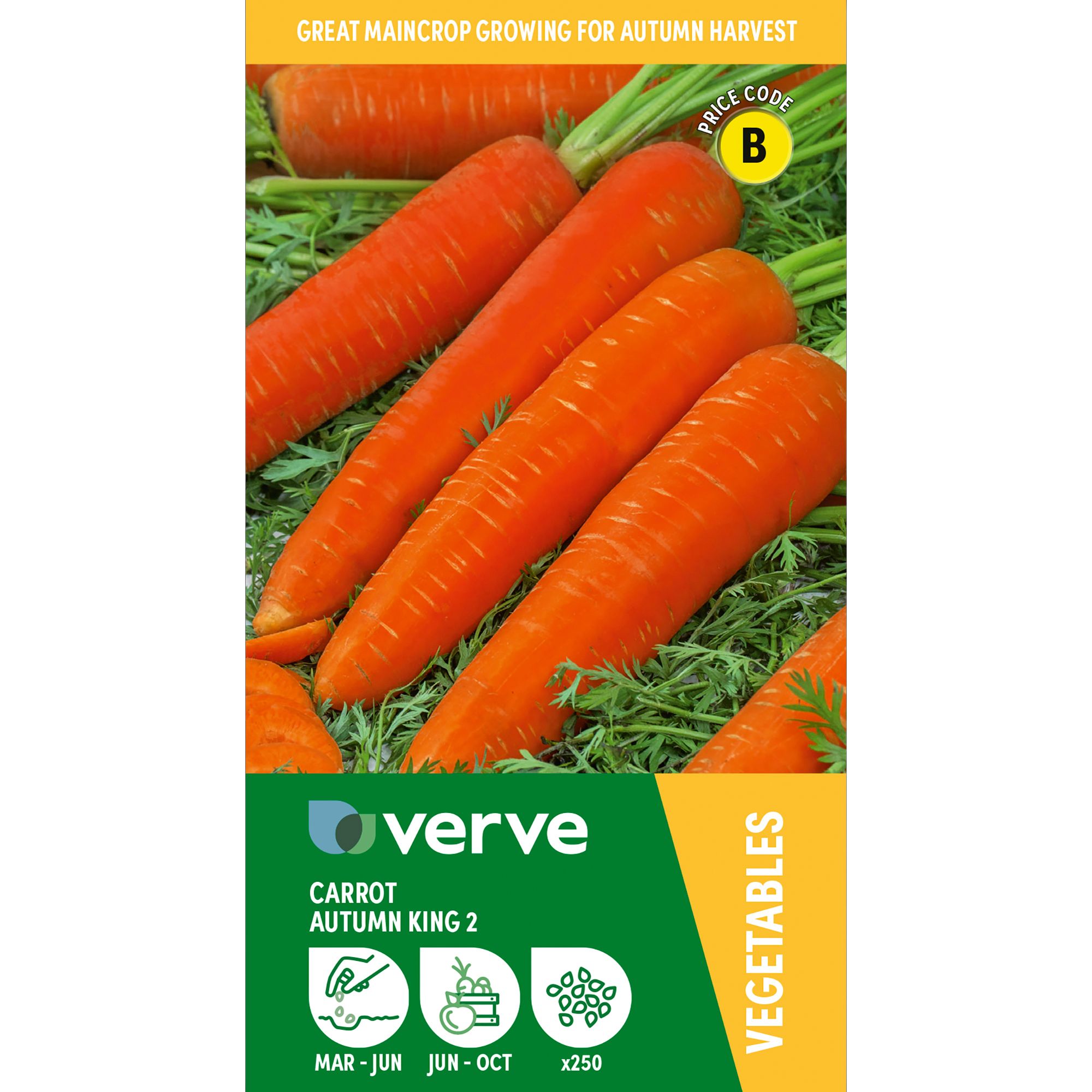 Verve Carrot 'Autumn King 2' Vegetable Seeds