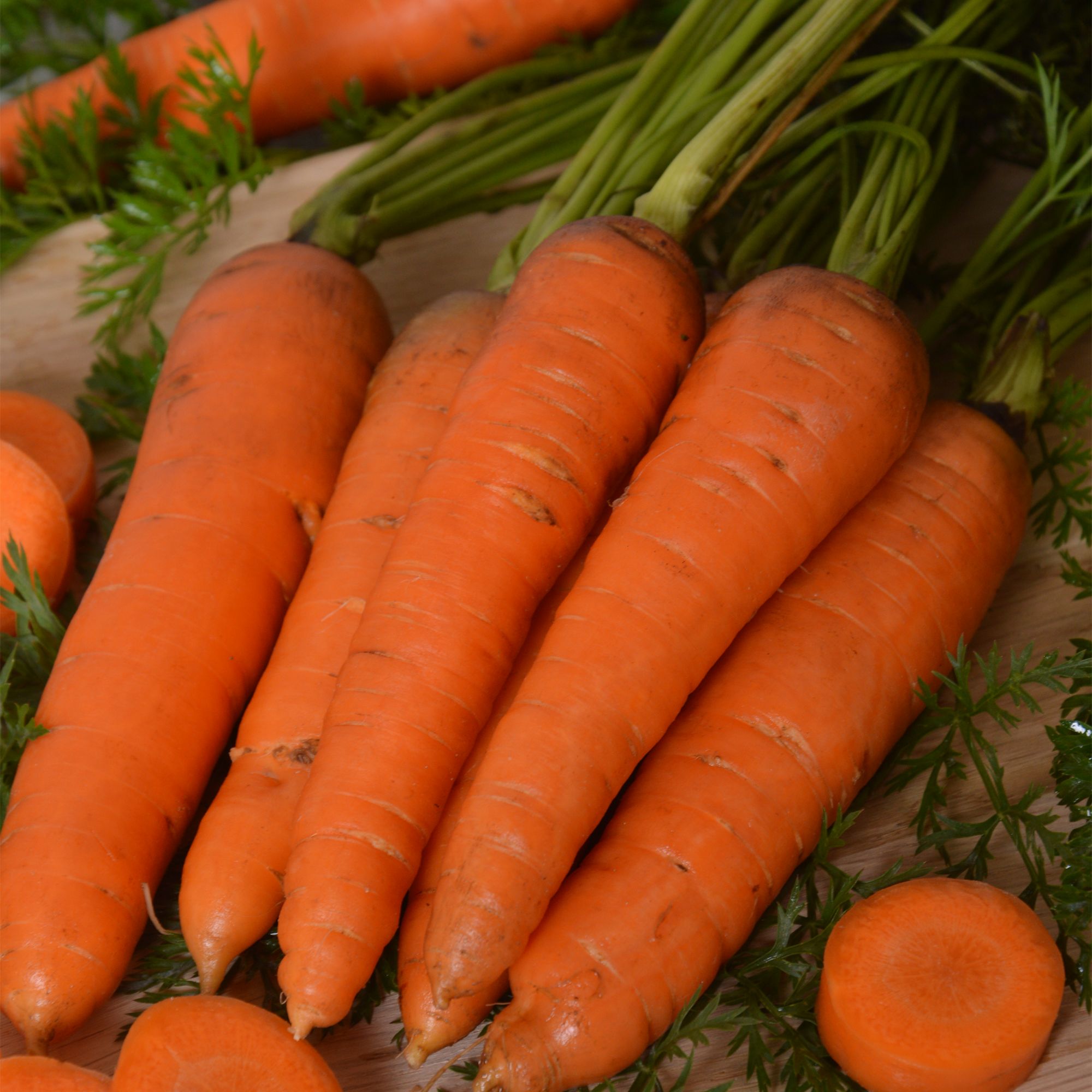 Verve Carrot 'Karlena' Vegetable Seeds