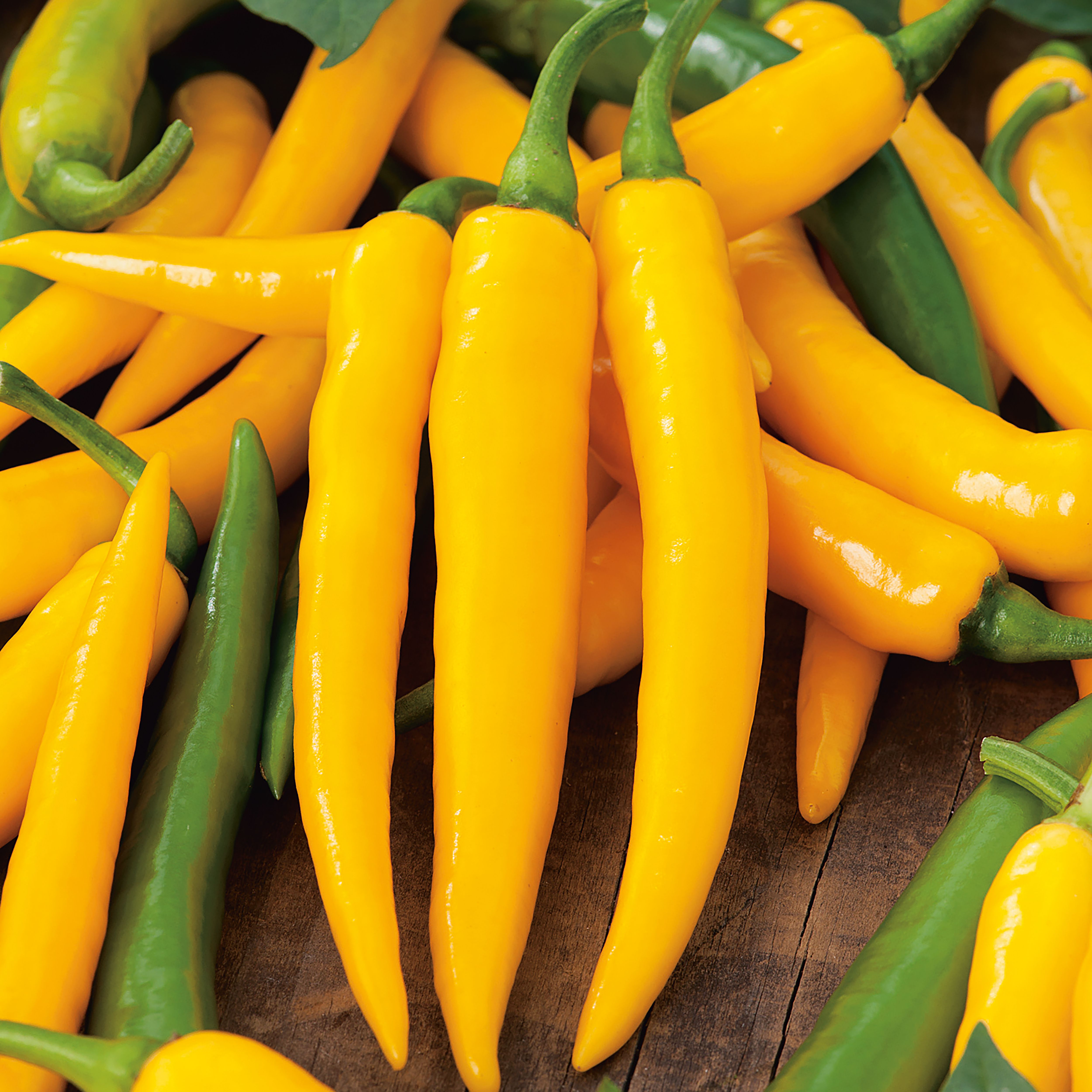 Verve Chilli & pepper Vegetable Seeds