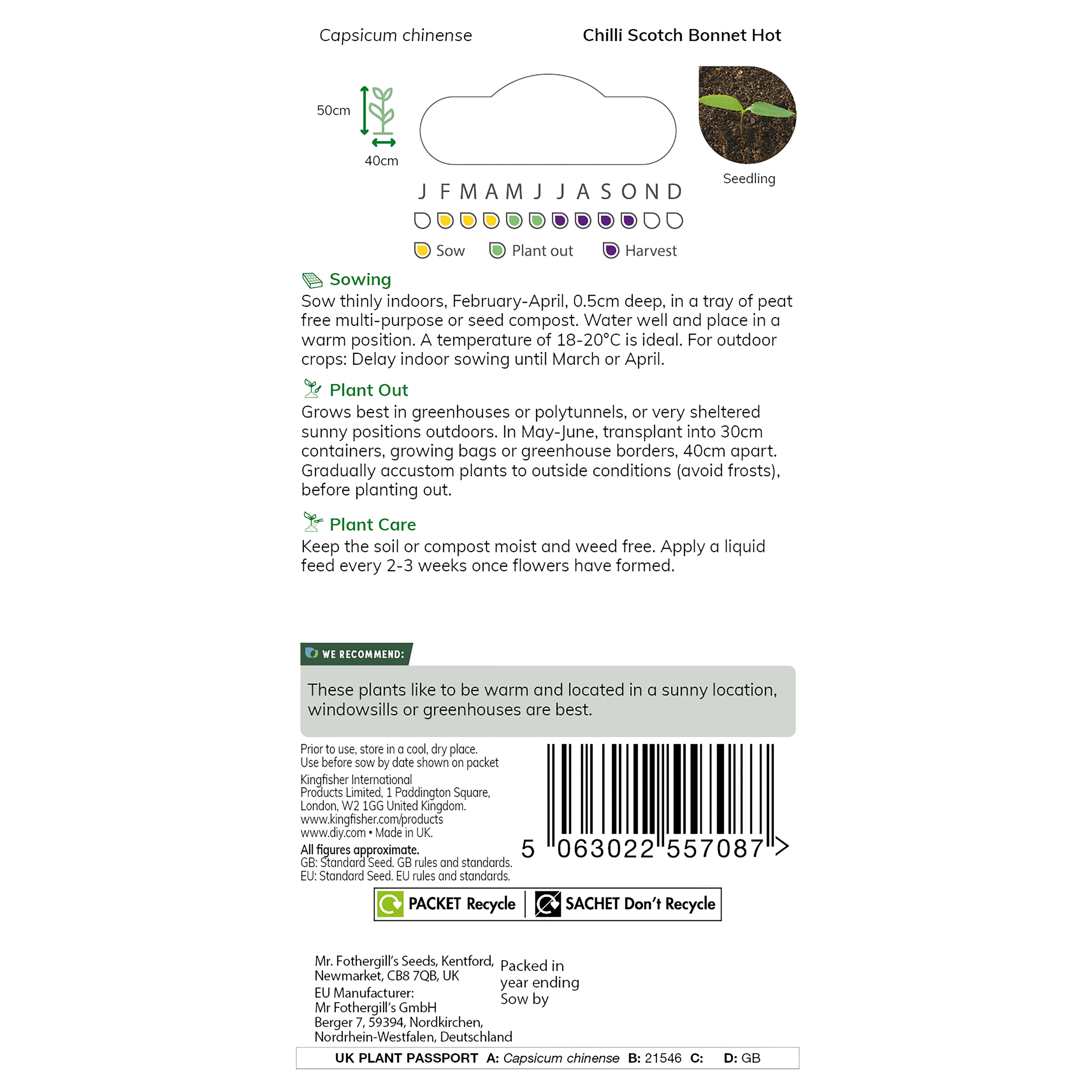 Verve Chilli 'Scotch Bonnet Hot' Vegetable Seeds