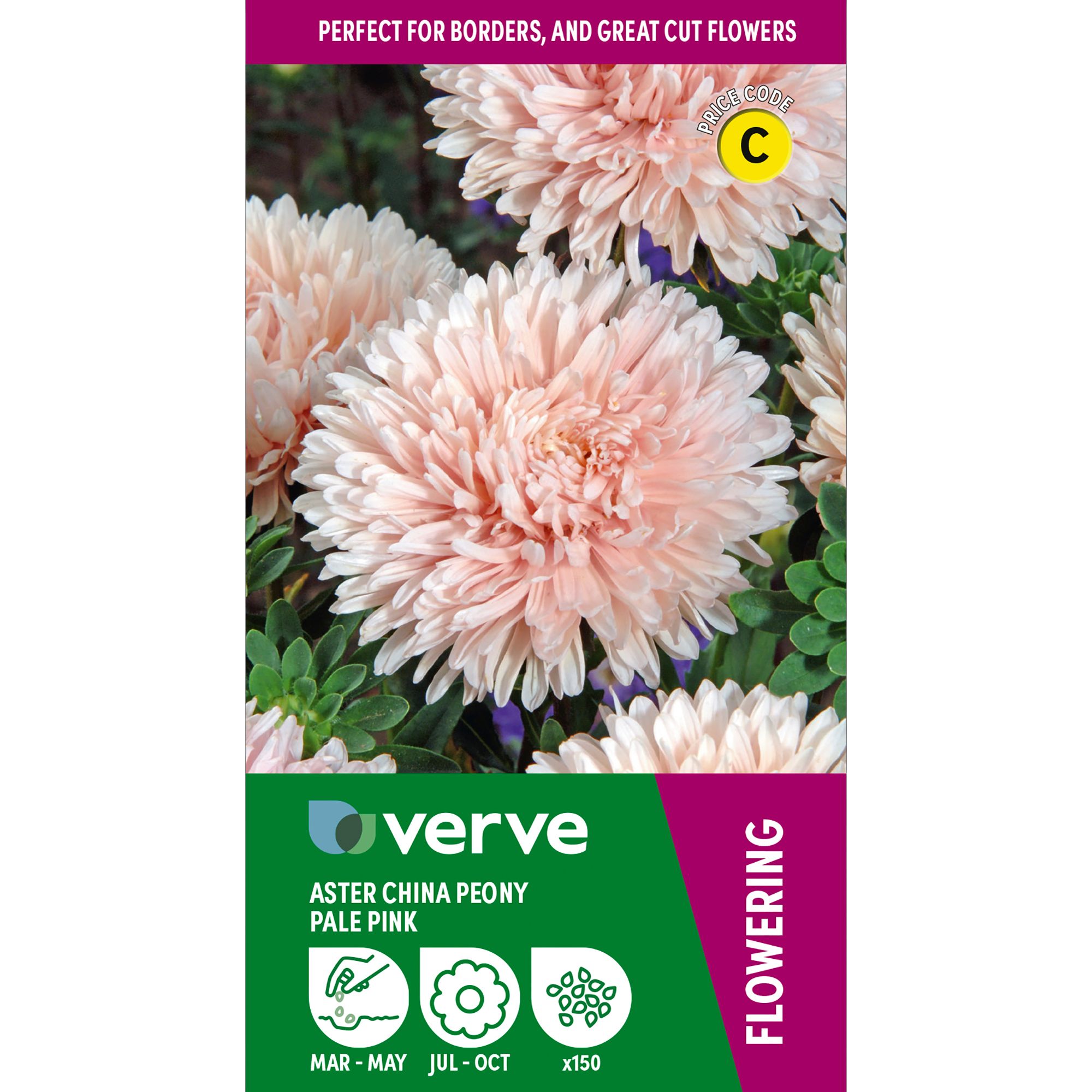 Verve China Princess Assorted Aster Seeds