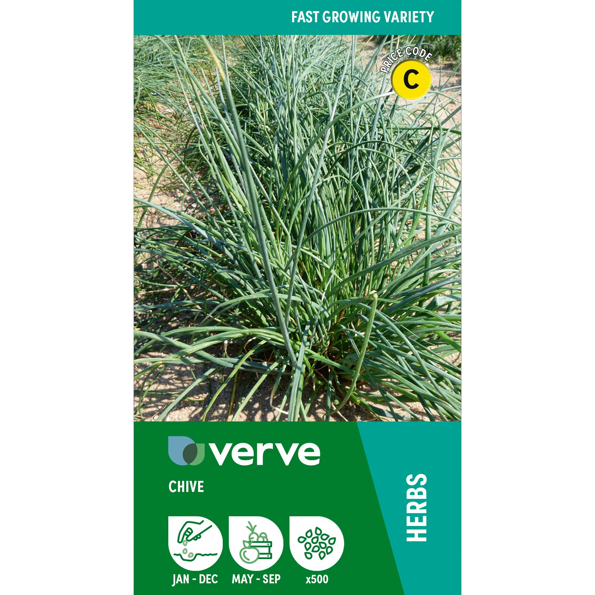 Verve Chive Herb Seeds