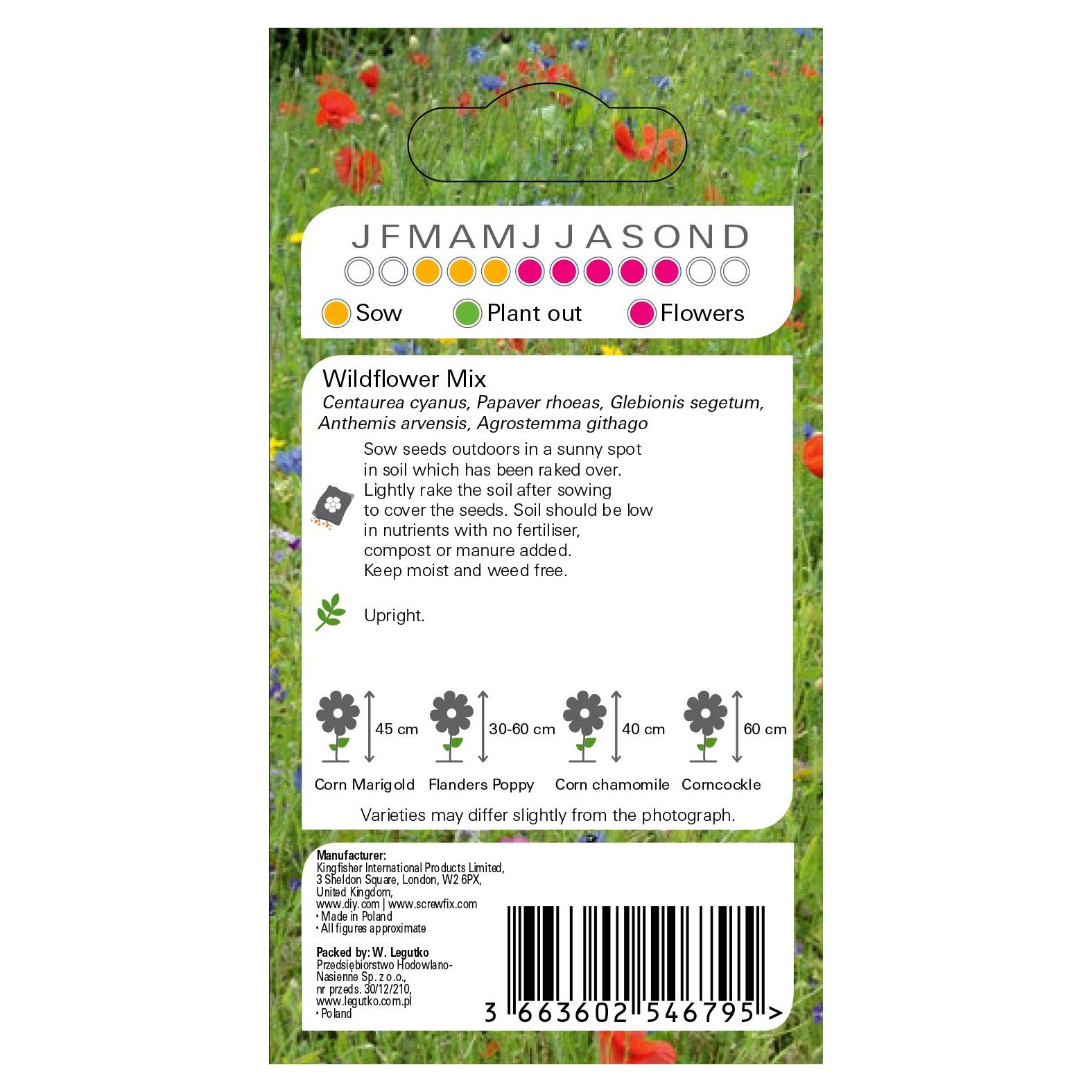 Verve Collection Wildflower Seeds