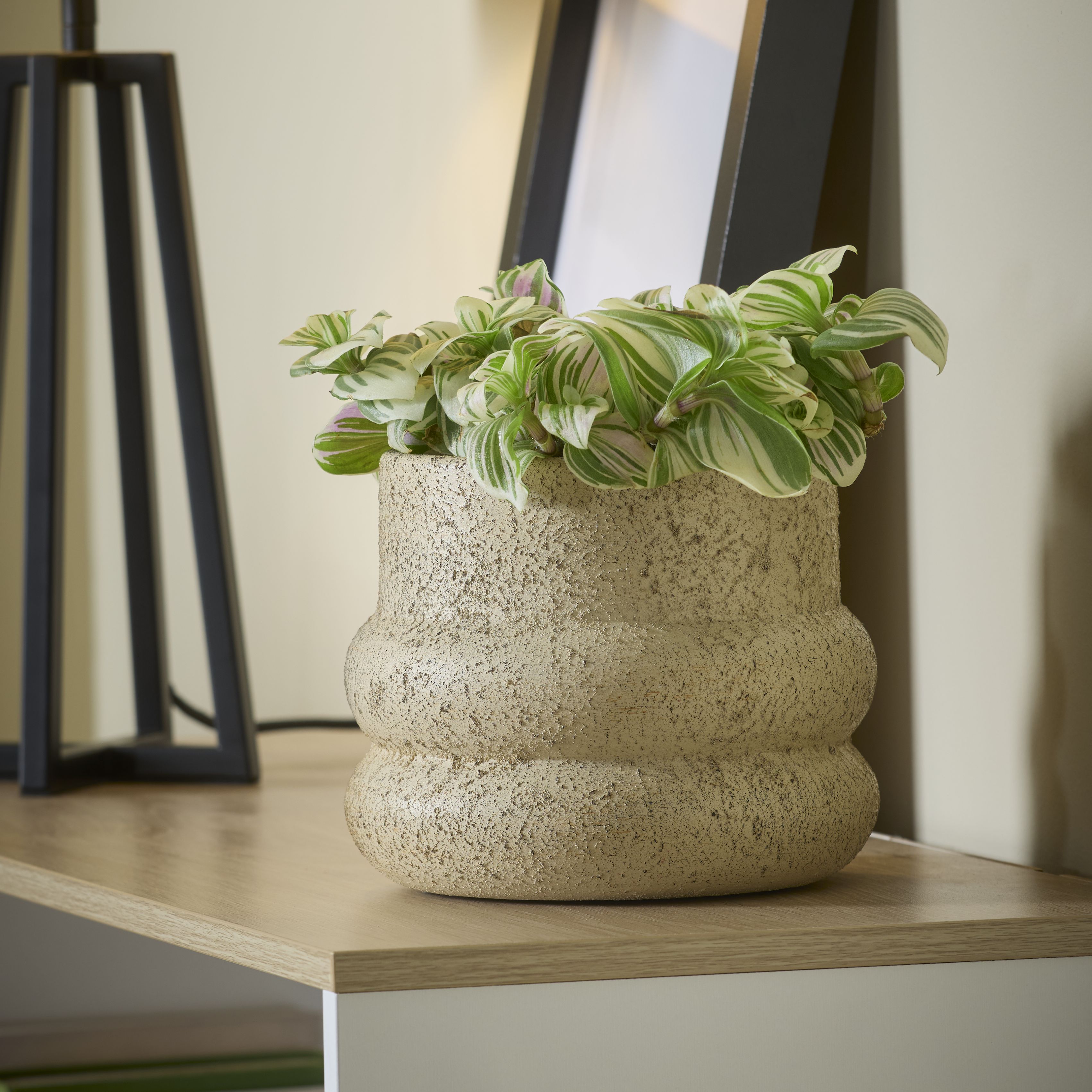 Verve Cream Ceramic Plant pot (Dia) 15.5cm, (H)13.3cm