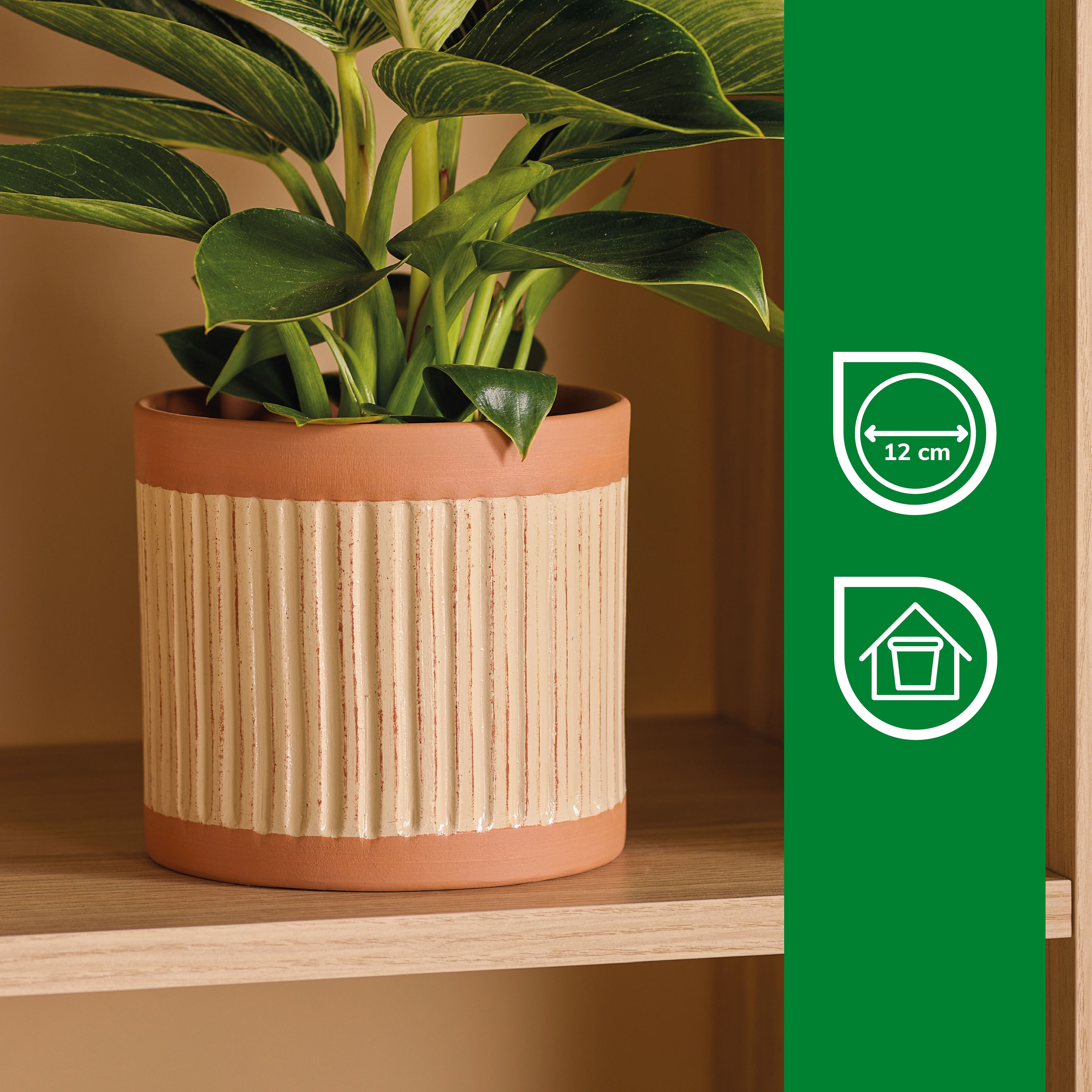 Verve Cream Ribbed Terracotta Plant pot (Dia) 13.5cm, (H)15cm