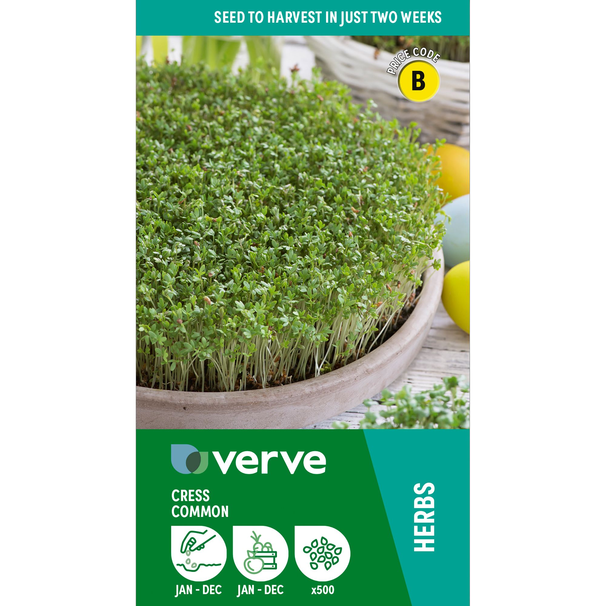 Verve Cress 'Common' Vegetable Seeds