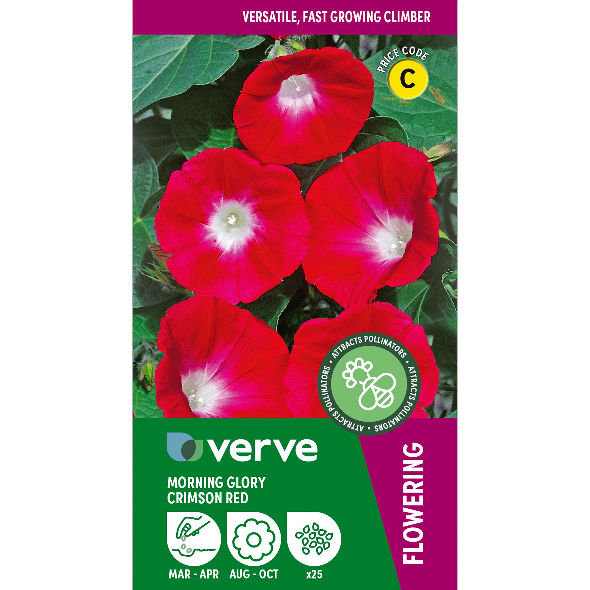Verve Crimson Red Morning Glory Seeds