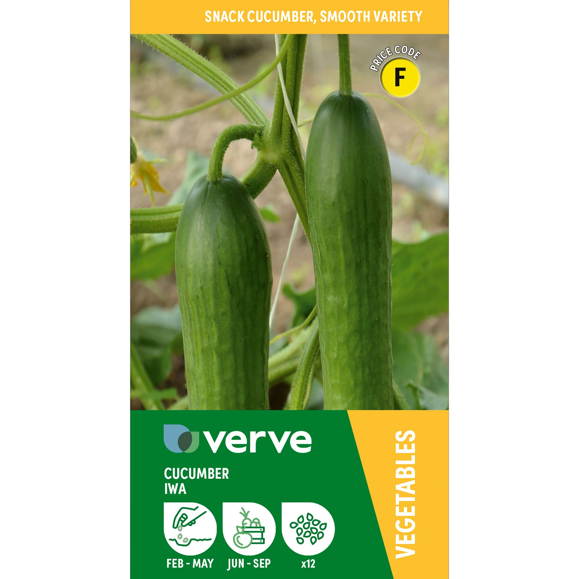 Verve Cucumber 'Iwa' Vegetable Seeds