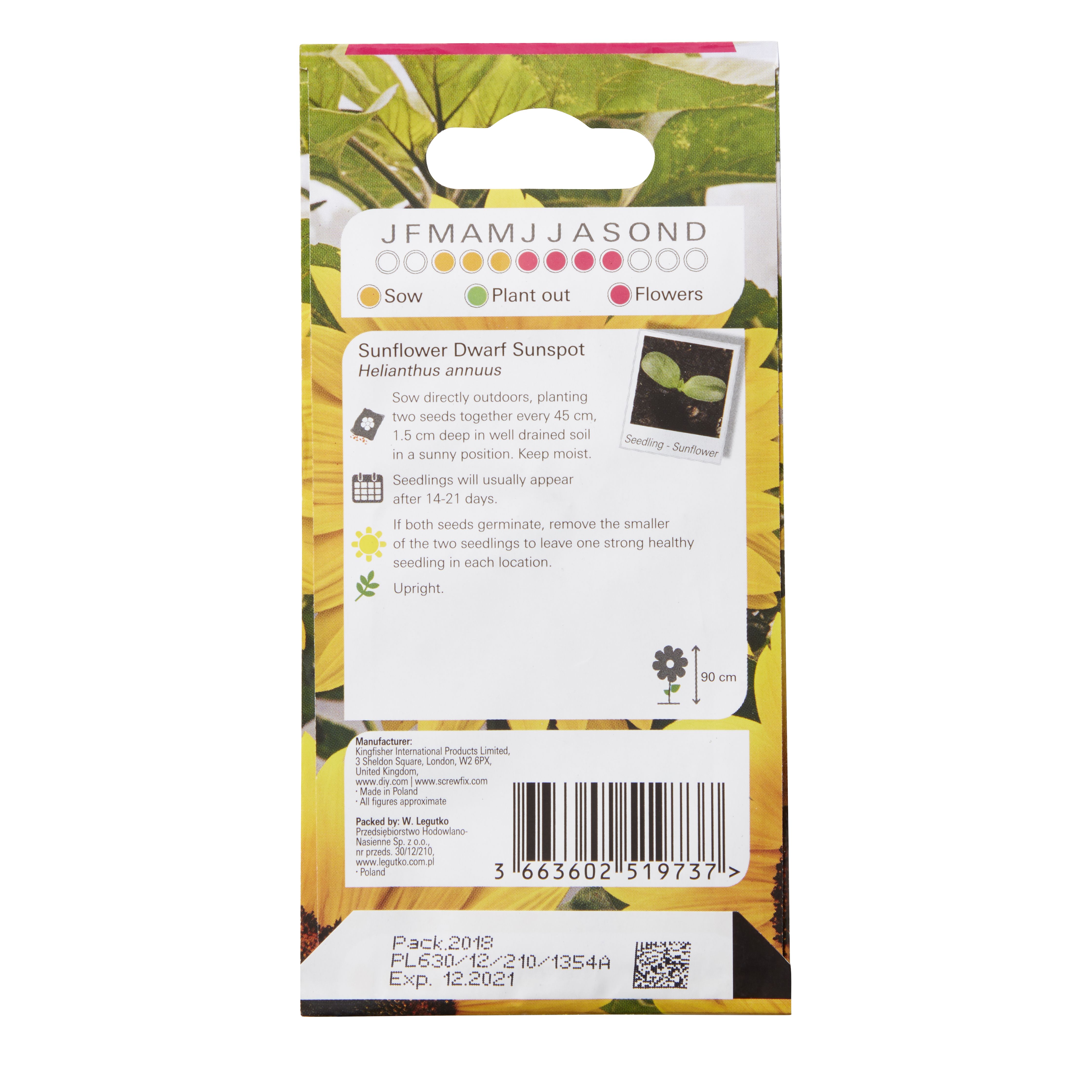 Verve Dwarf sunspot Sunflower Seeds