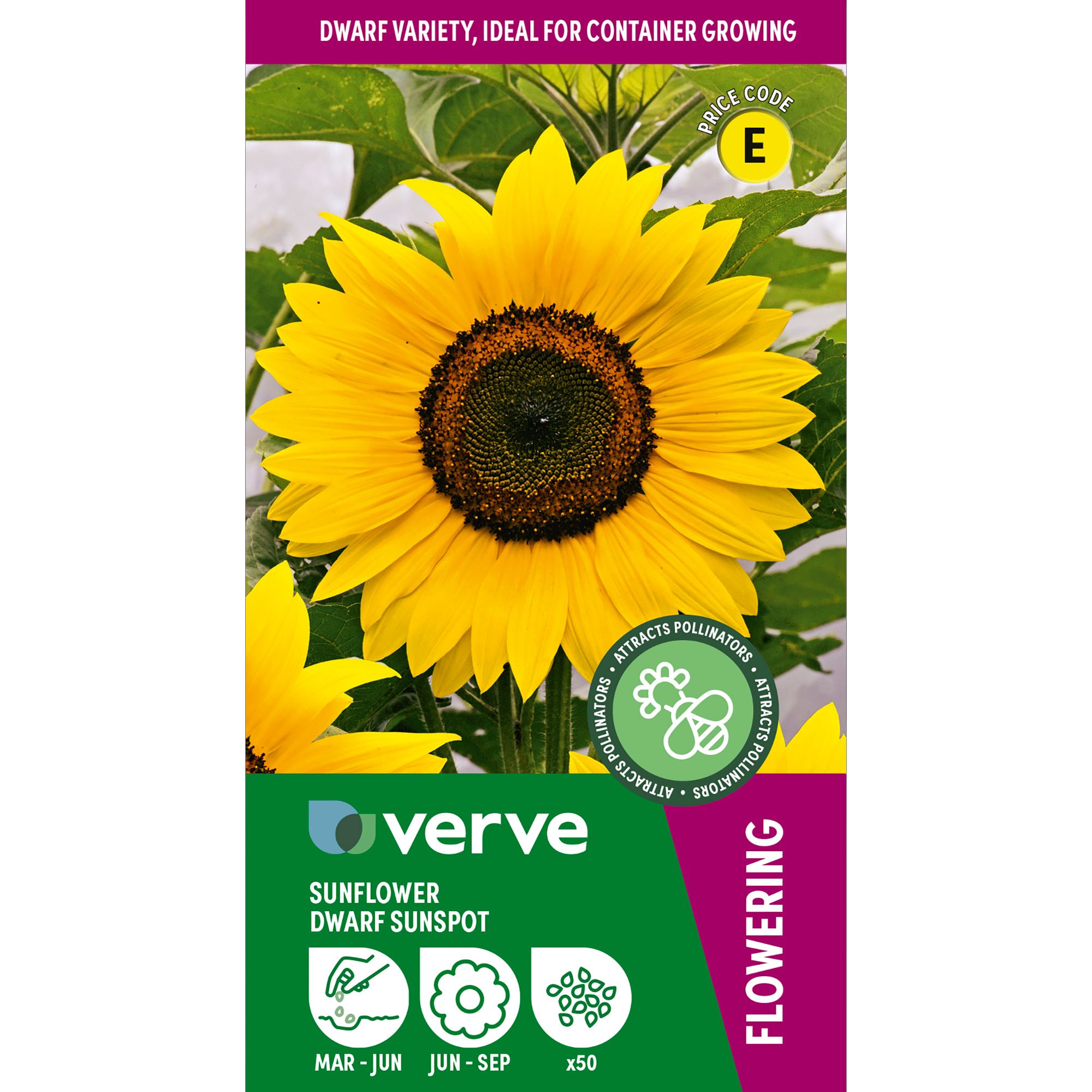 Verve Dwarf Sunspot Sunflower Seeds