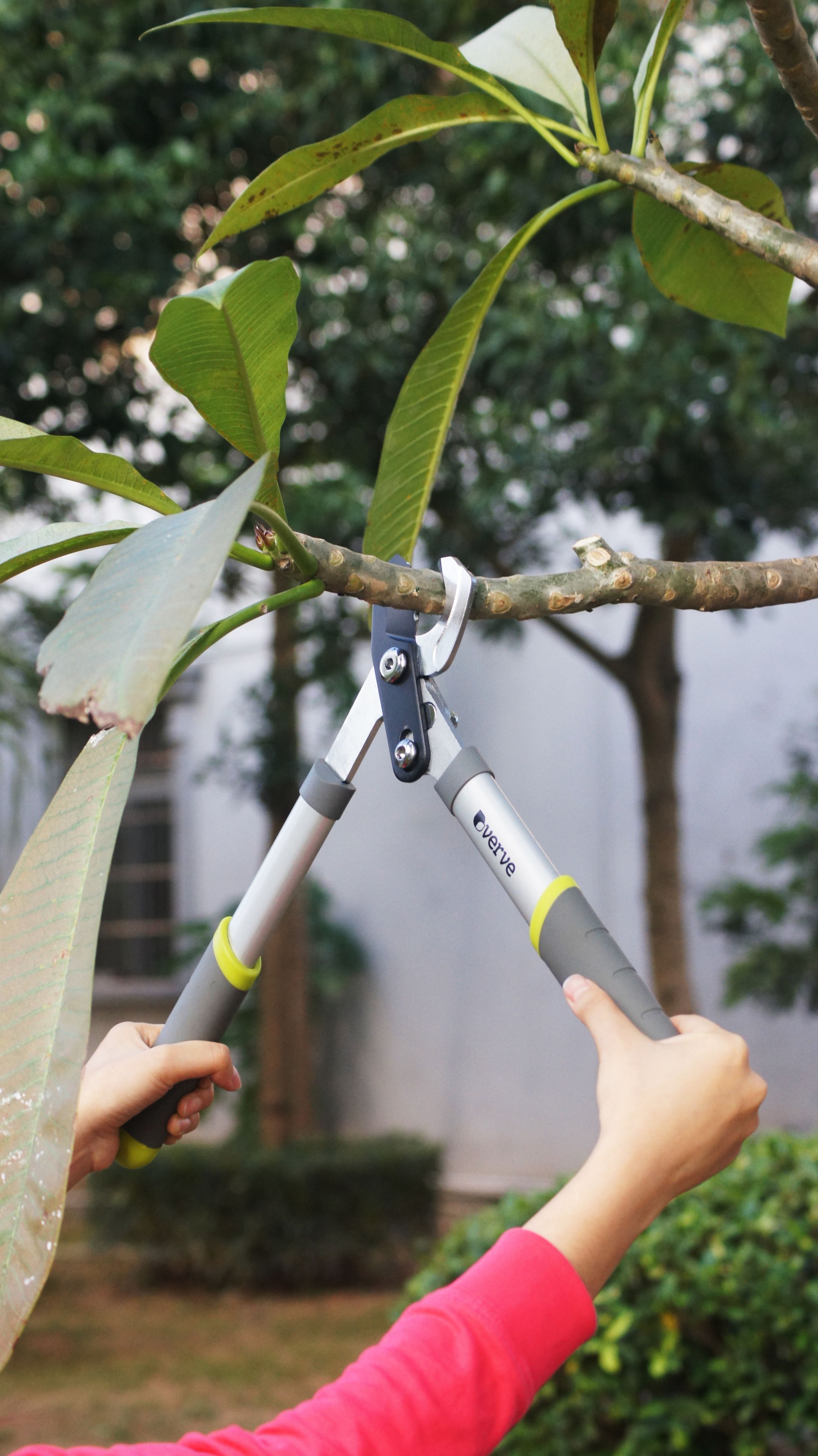 Loppers | Cutting & pruning | B&Q