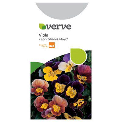 Verve Fancy shades Viola Seed | DIY at B&Q