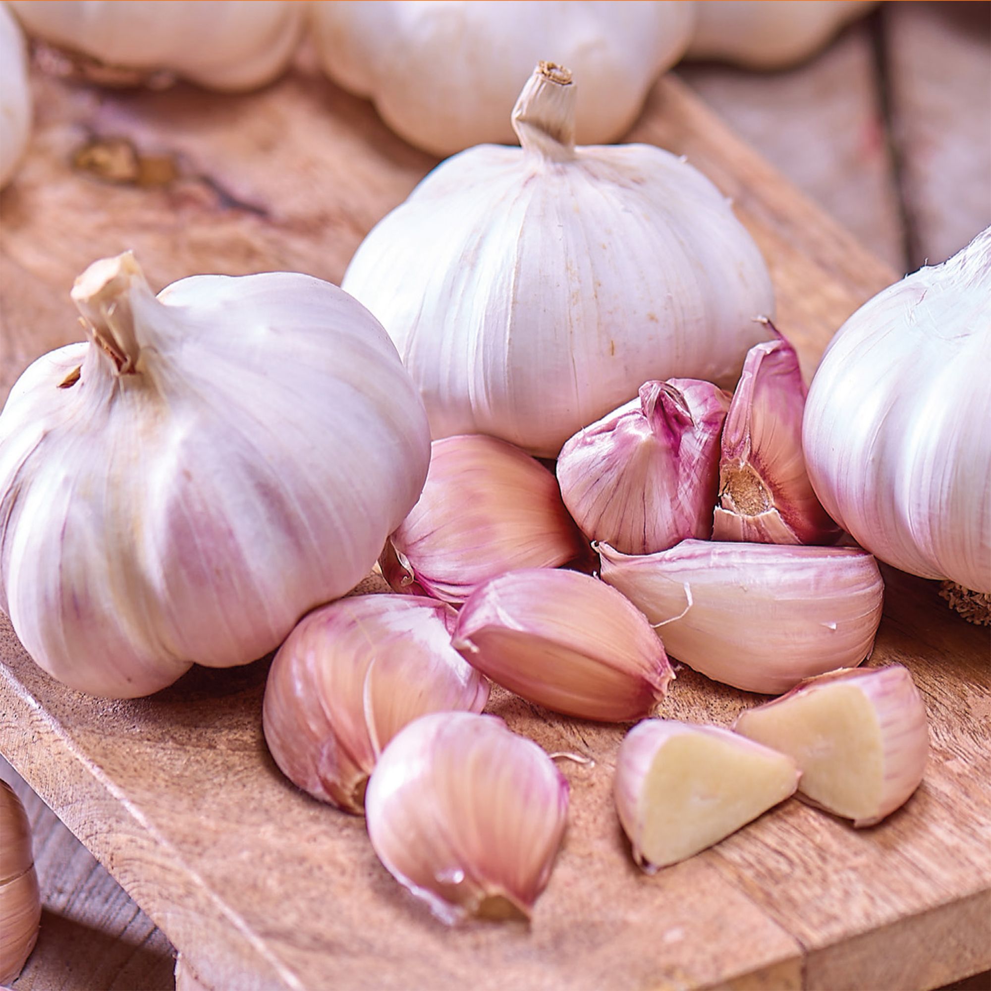 Verve Flavor Garlic Bulb