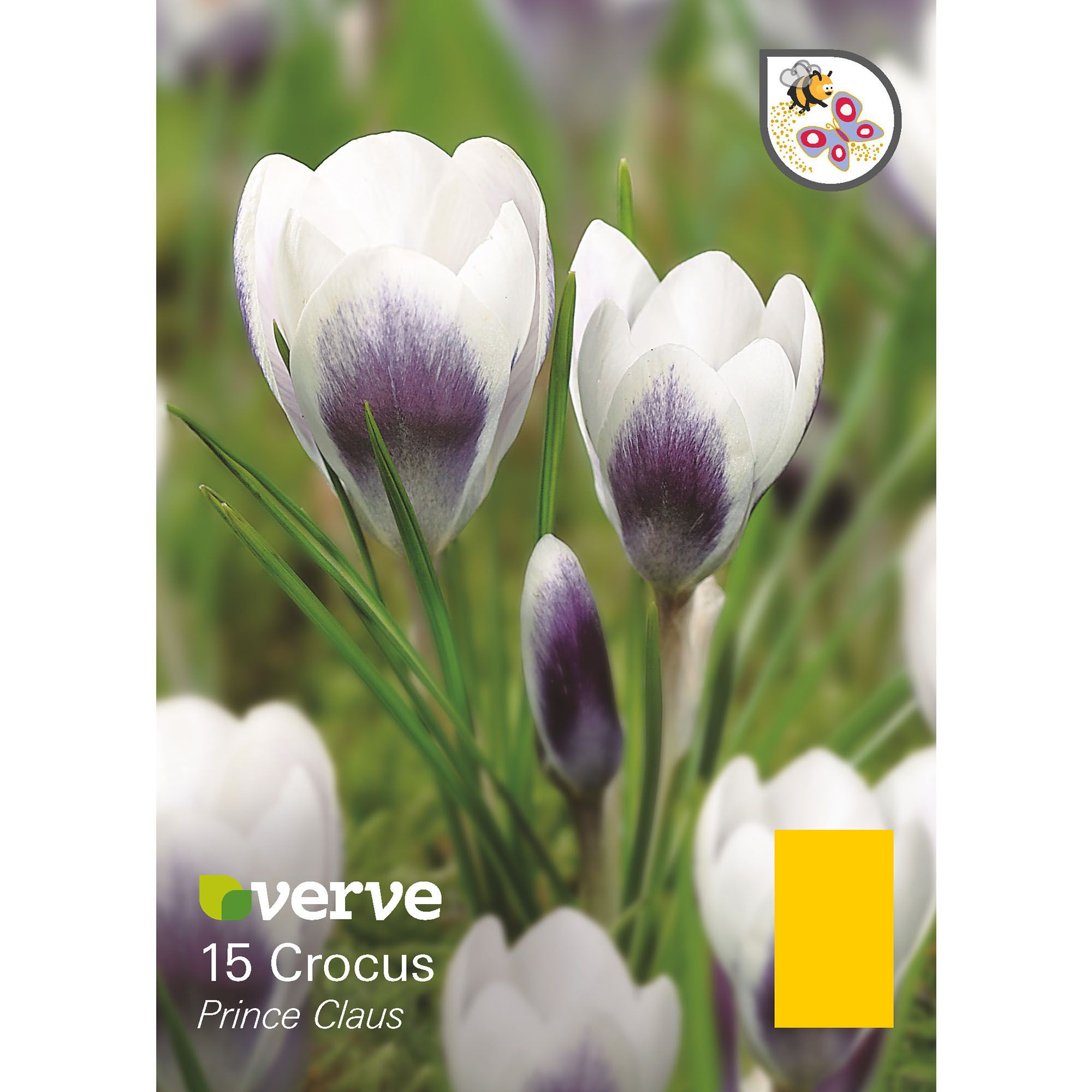 Verve Flower bulb