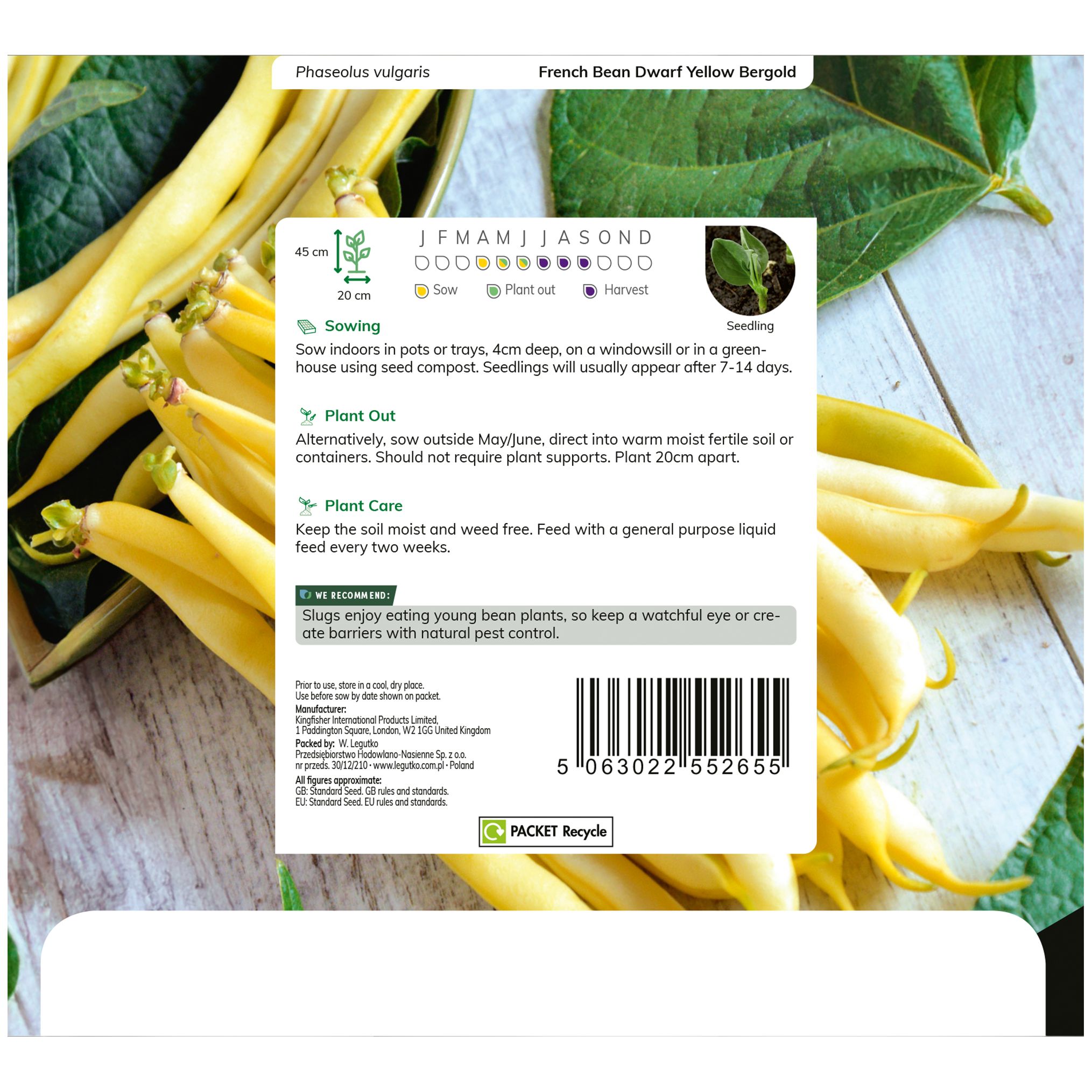 Verve French bean 'Bergold' Vegetable Seeds