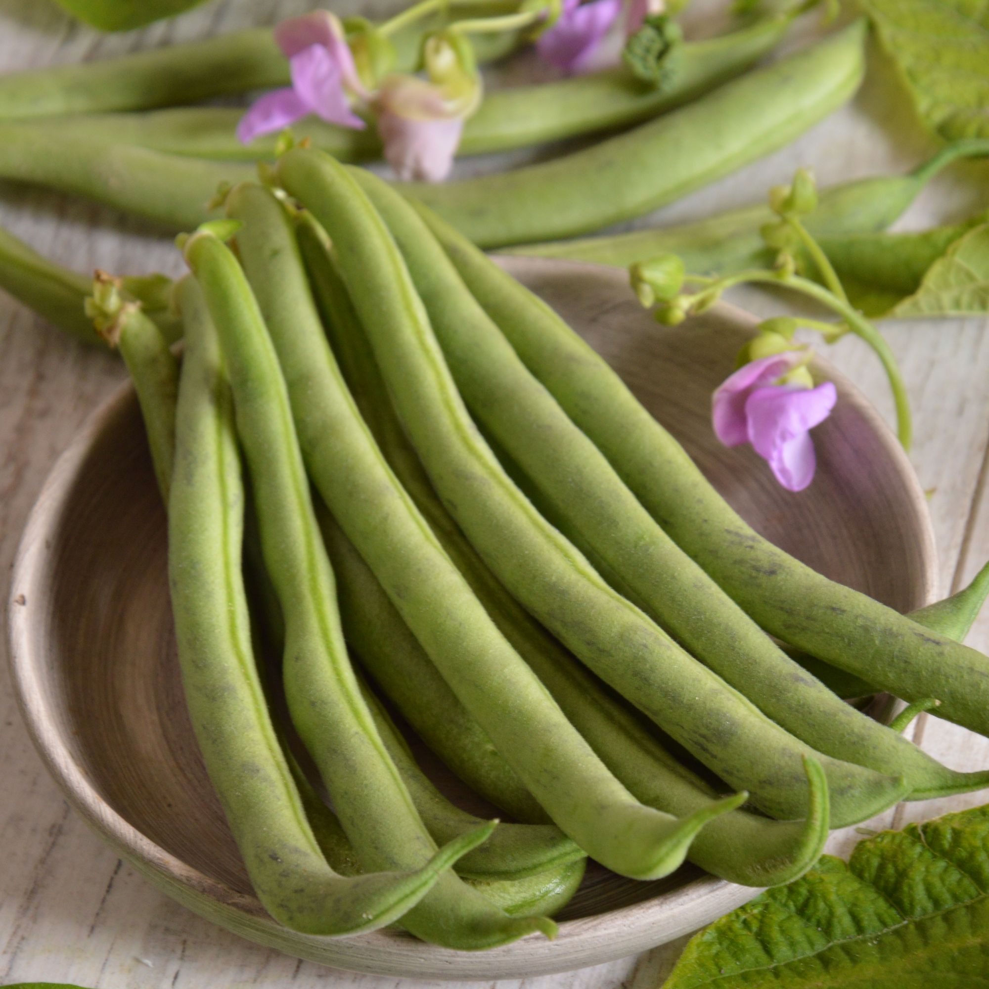 Verve French bean 'Dwarf Tendergreen' Vegetable Seeds