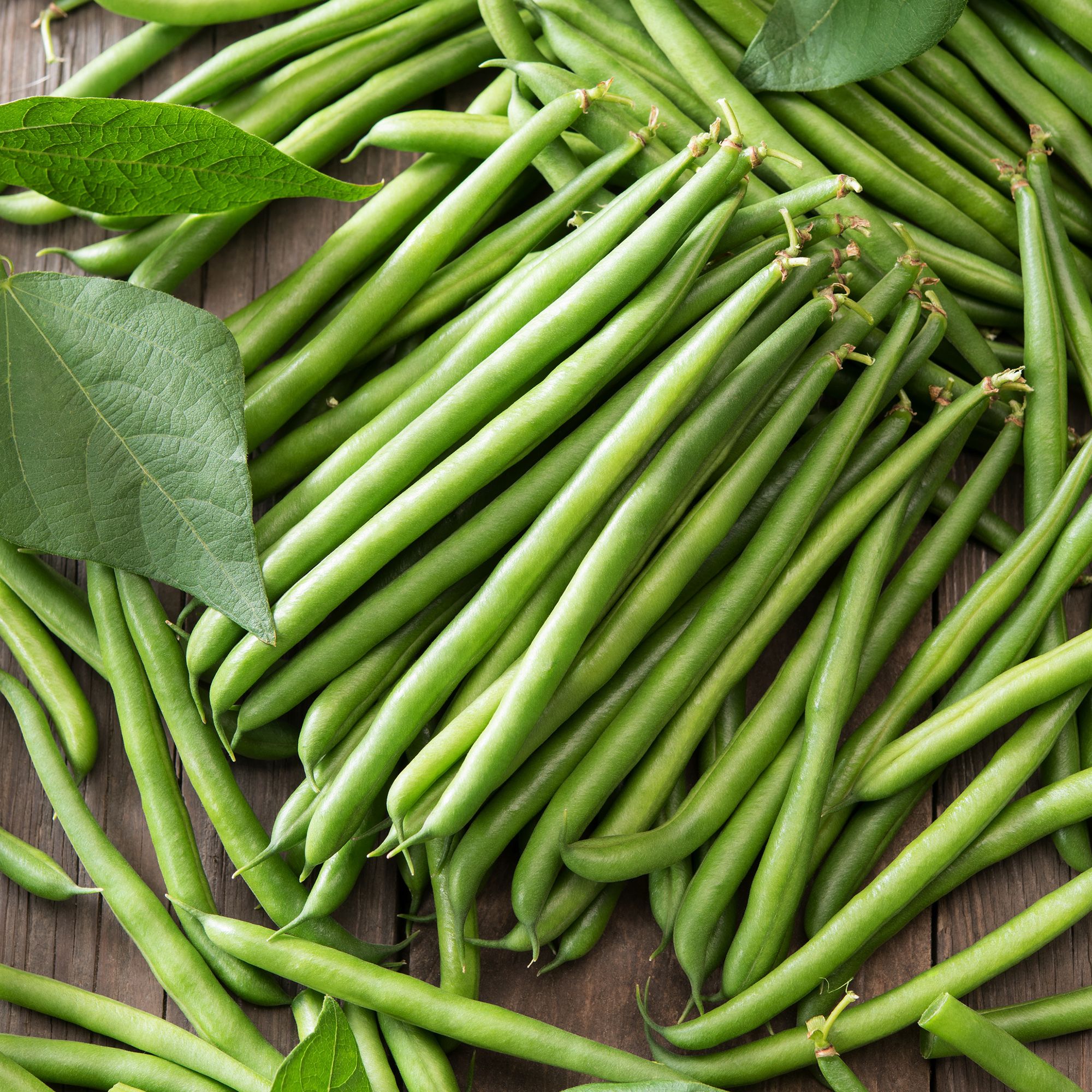 Verve French bean paulista Seeds