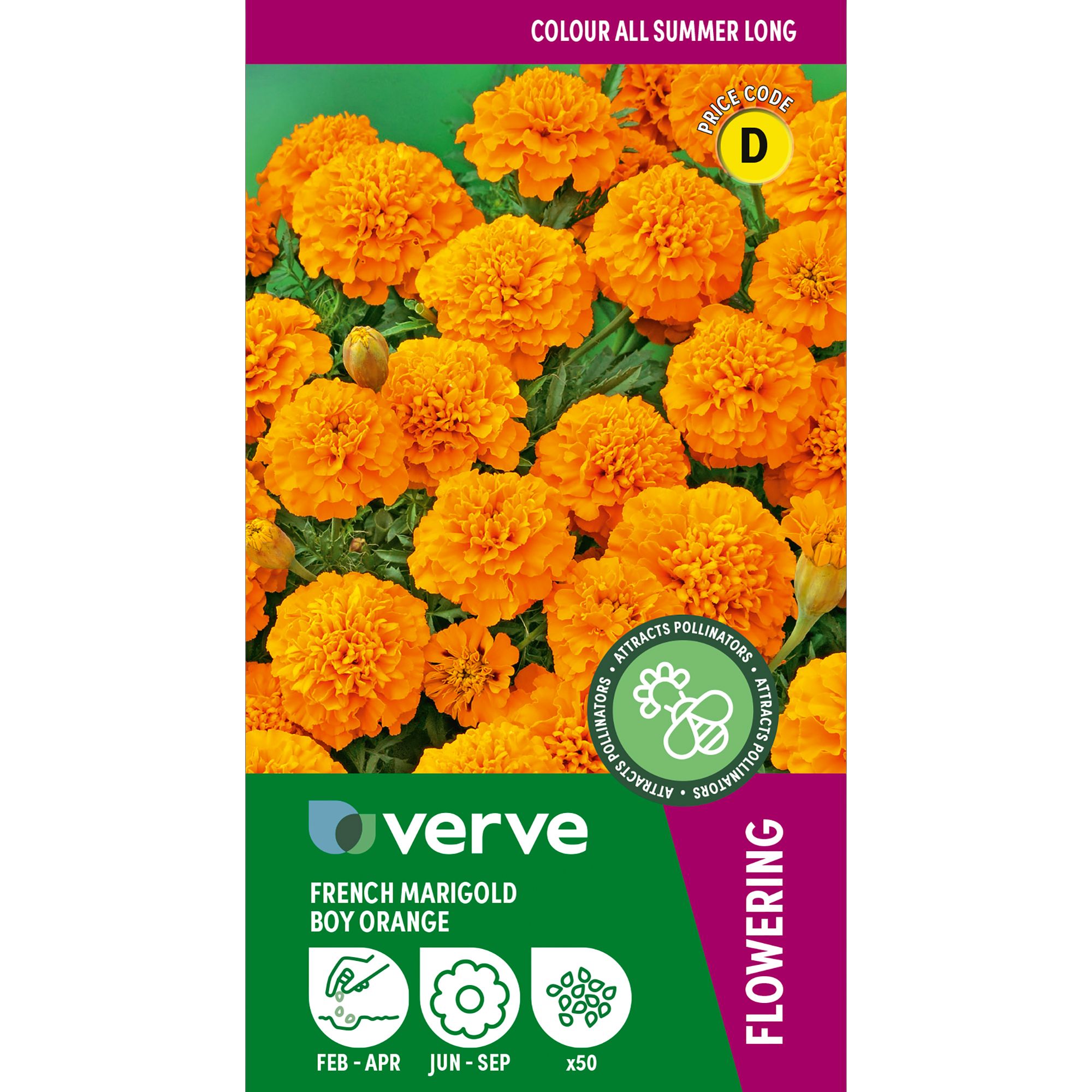 Verve French Boy Orange Marigold Flower Seeds