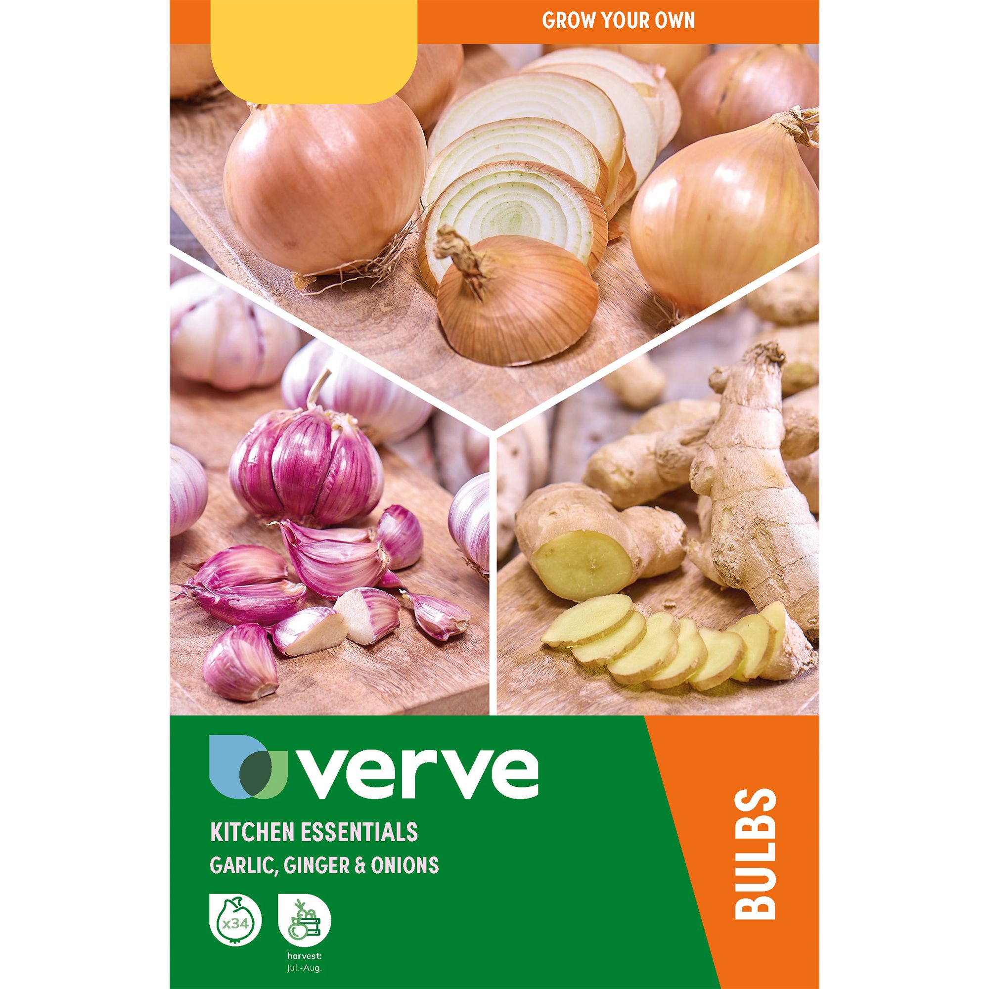 Verve Garlic, onion & ginger Vegetable bulbs & seeds kit | DIY at B&Q