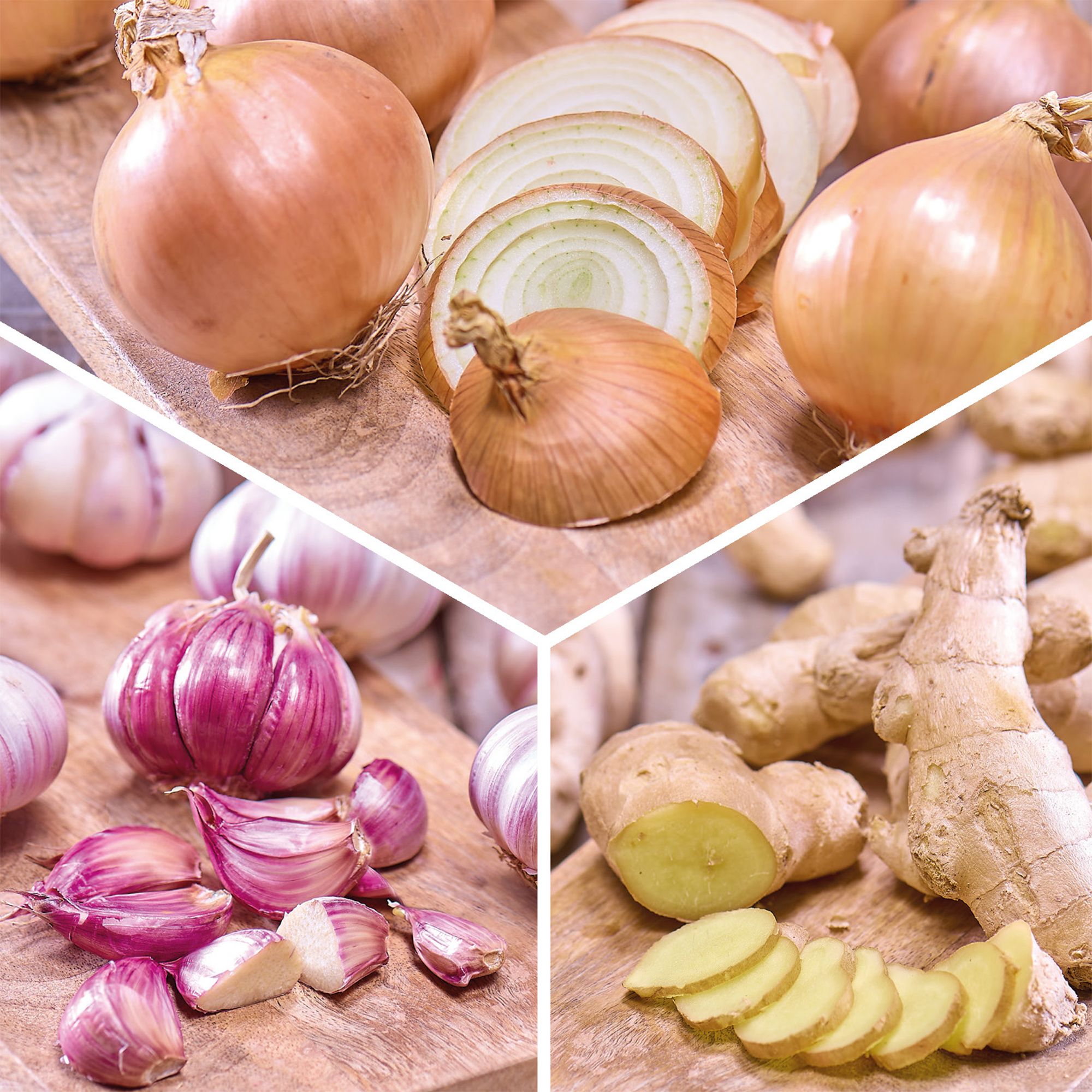 Verve Garlic, onion & ginger Vegetable bulbs & seeds kit