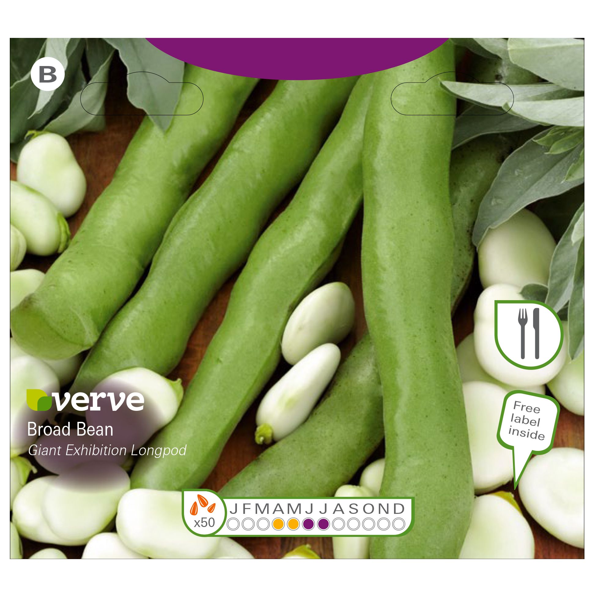 Verve Giant exhibition longpod broad bean Broad bean Seed | DIY at B&Q