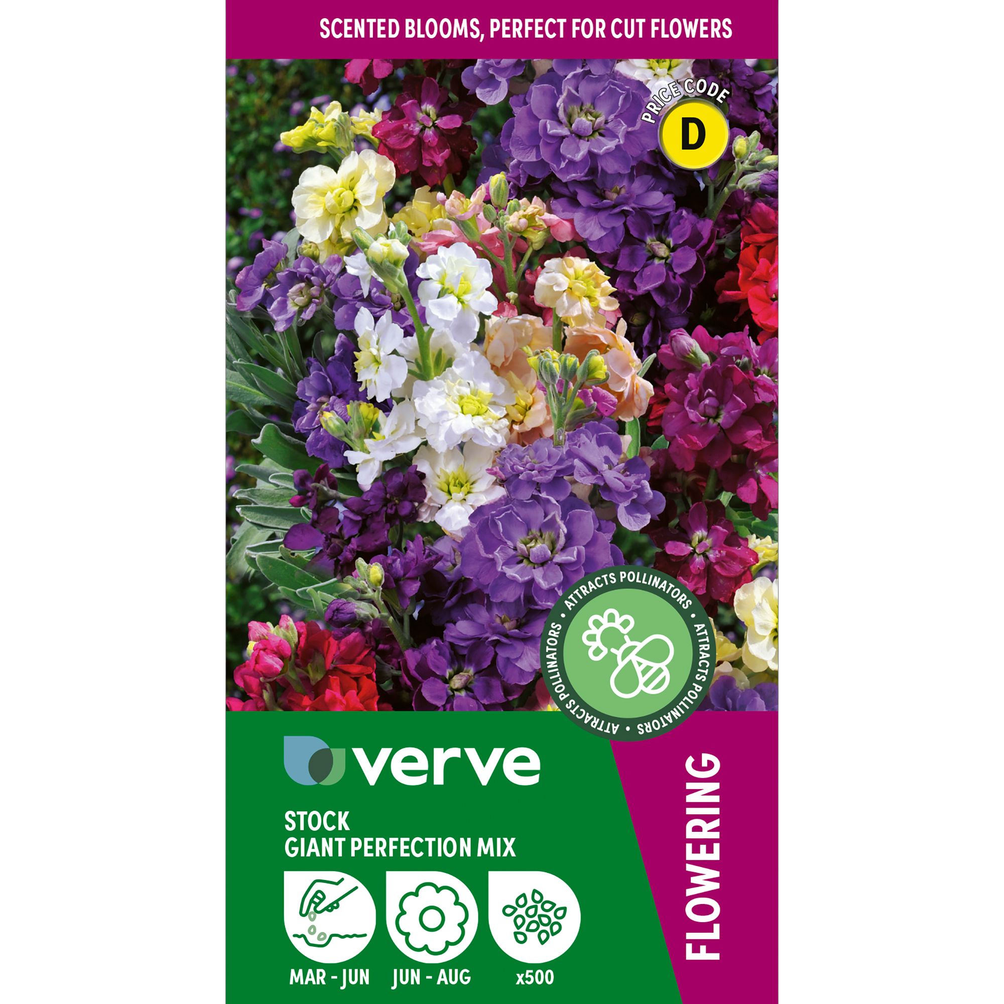 Verve Giant Perfection Mix Stock Seeds