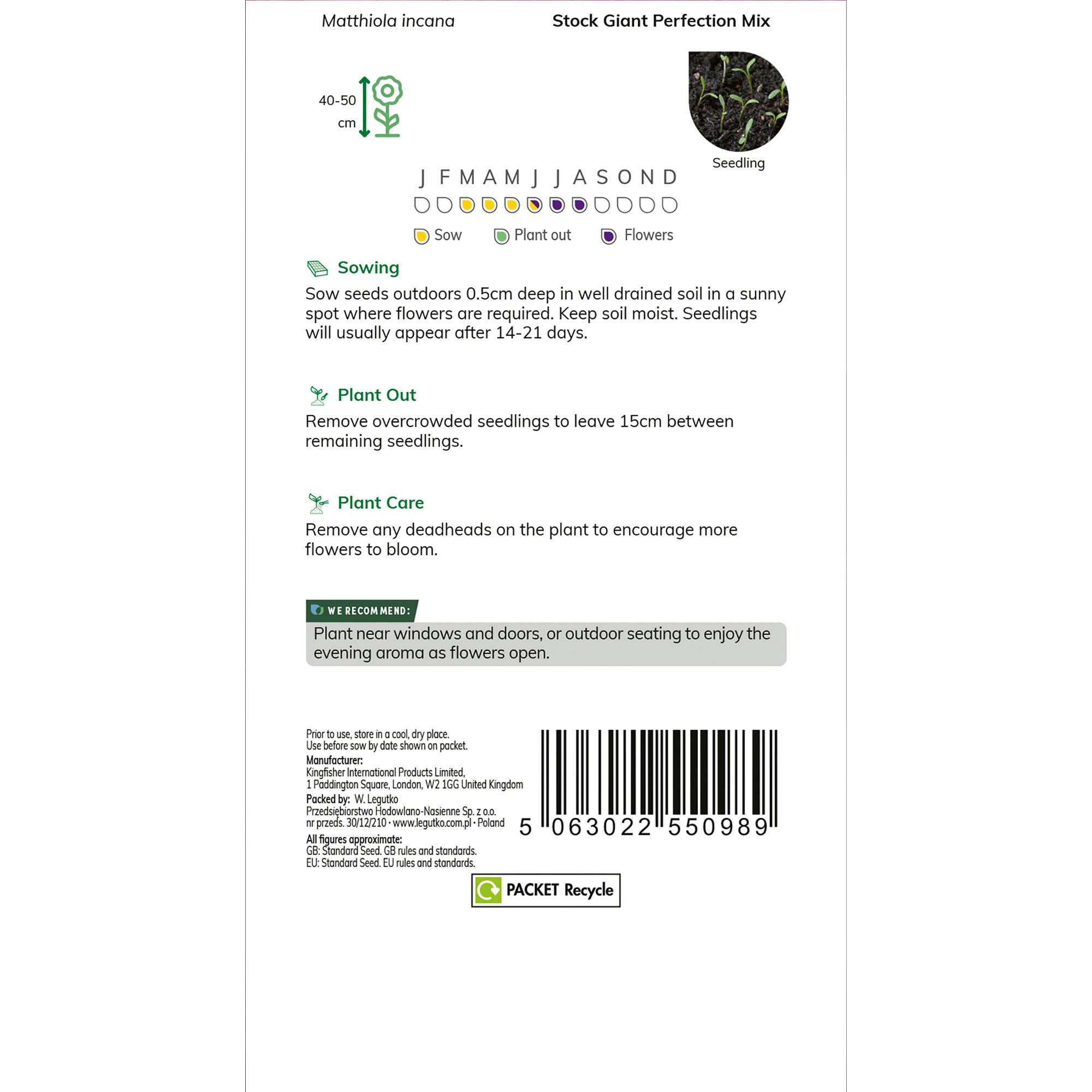 Verve Giant Perfection Mix Stock Seeds