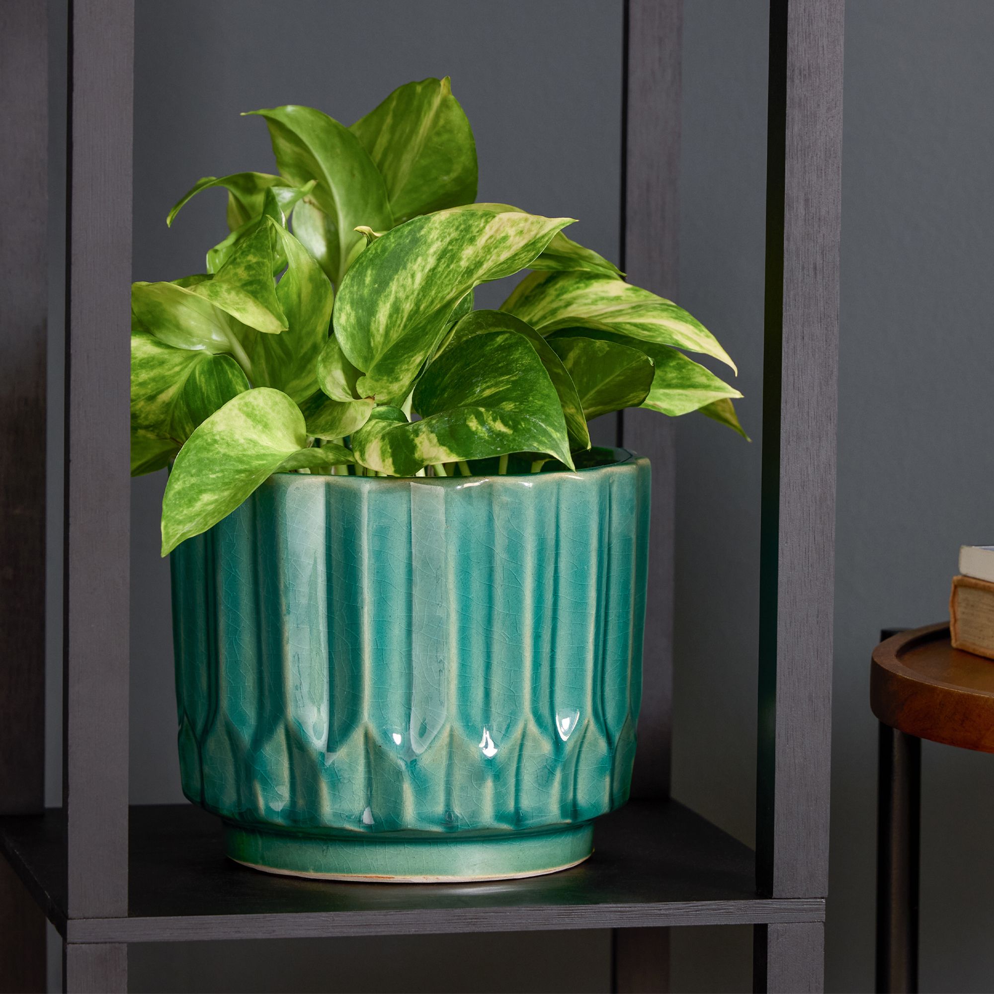 Verve Green Ceramic Plant pot (Dia) 17cm, (H)13cm