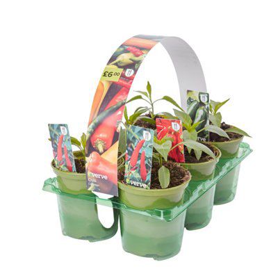 Verve Green Chilli | DIY at B&Q