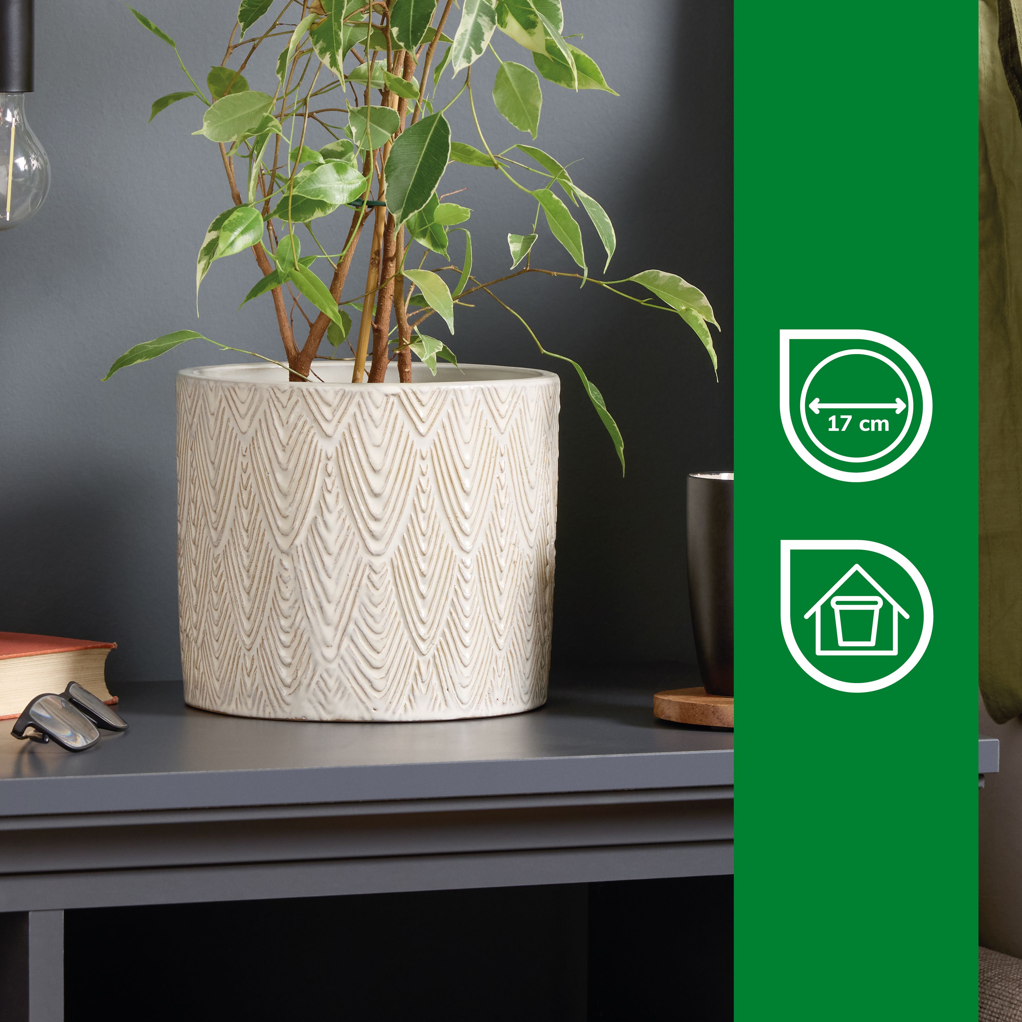 Buy Verve Green Cream Ceramic Plant pot (Dia) 20cm, (H)17cm at B&Q