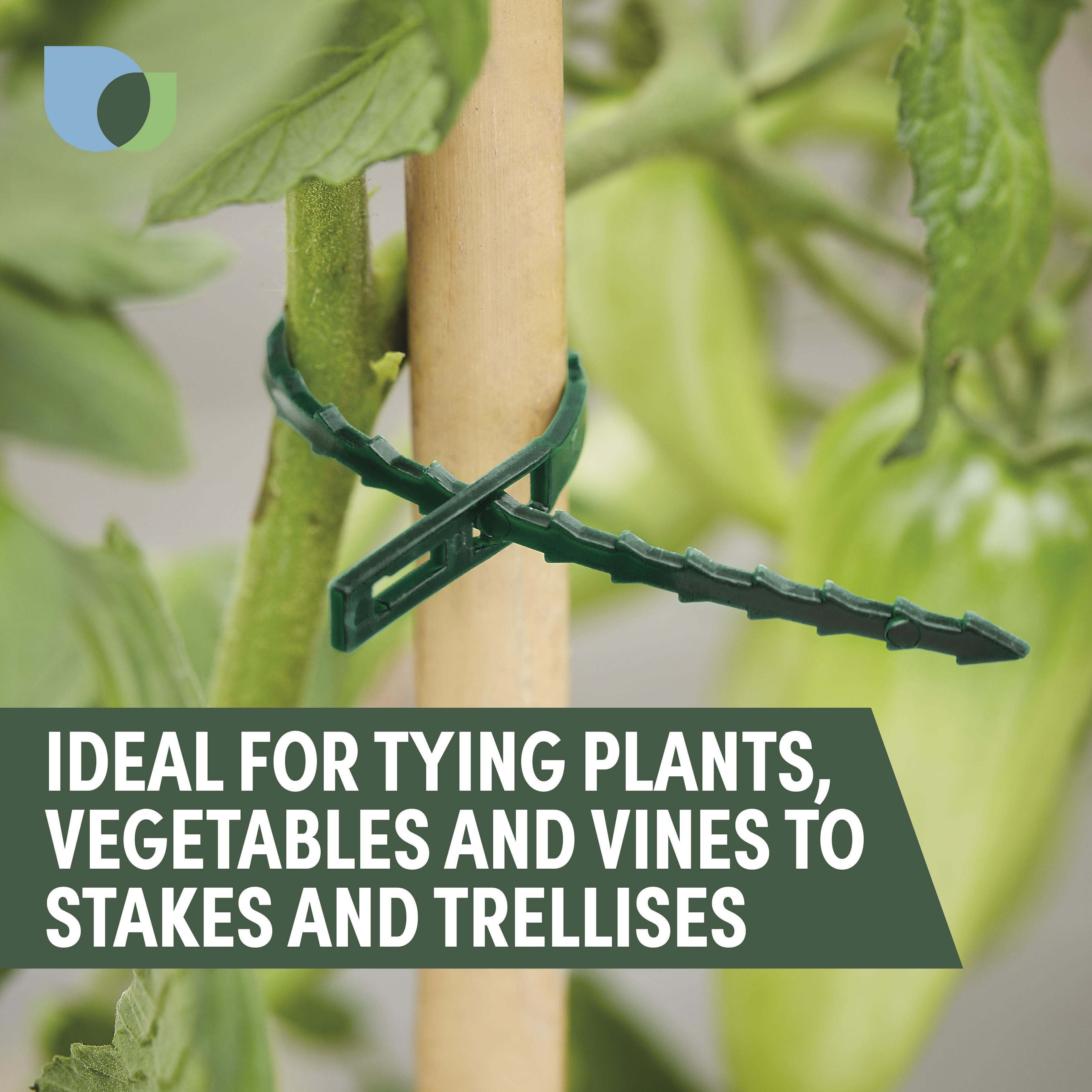 Verve Green Plastic Plant tie (L)0.17m, Pack of 50