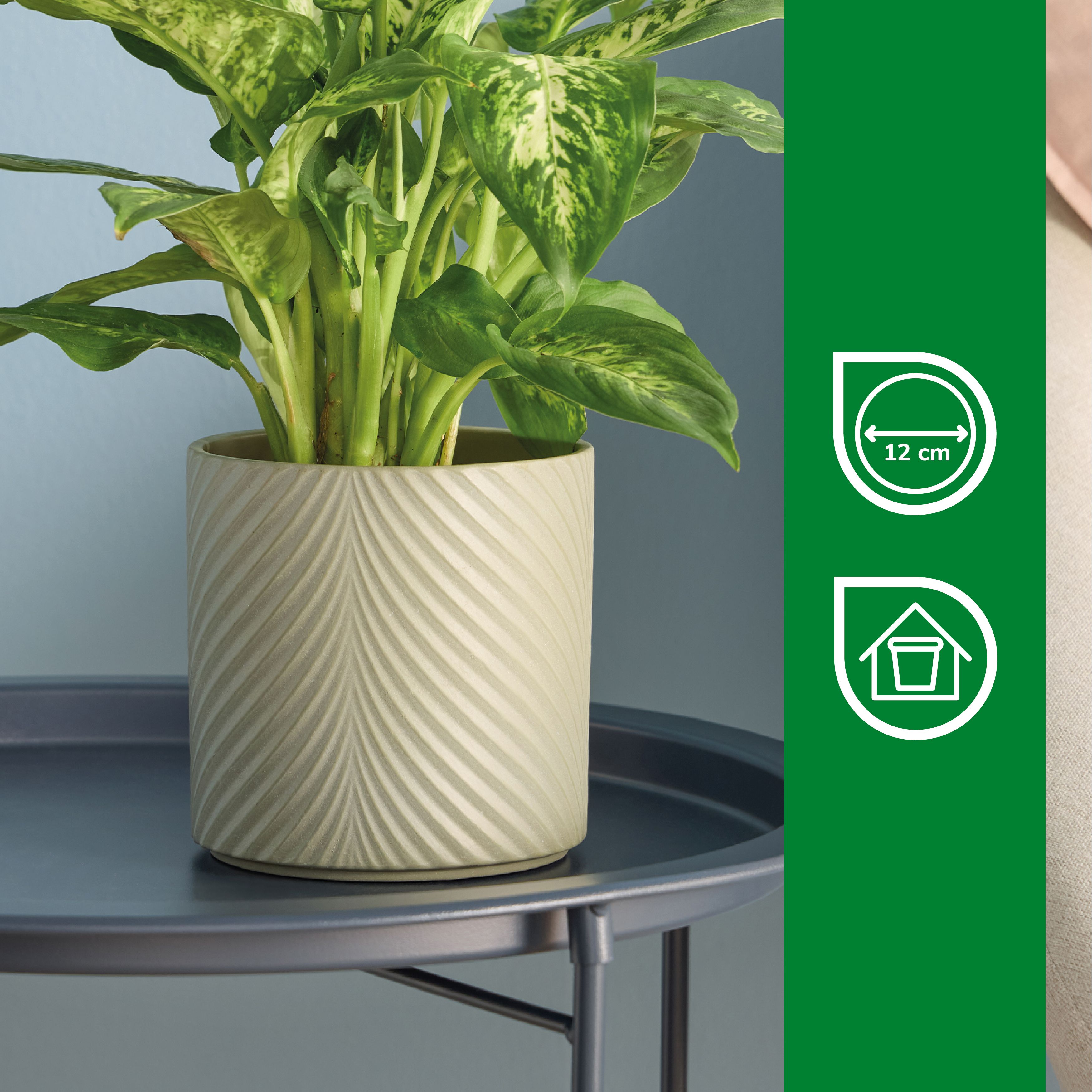 Verve Green Wave Ceramic Plant pot (Dia) 13cm, (H)13cm